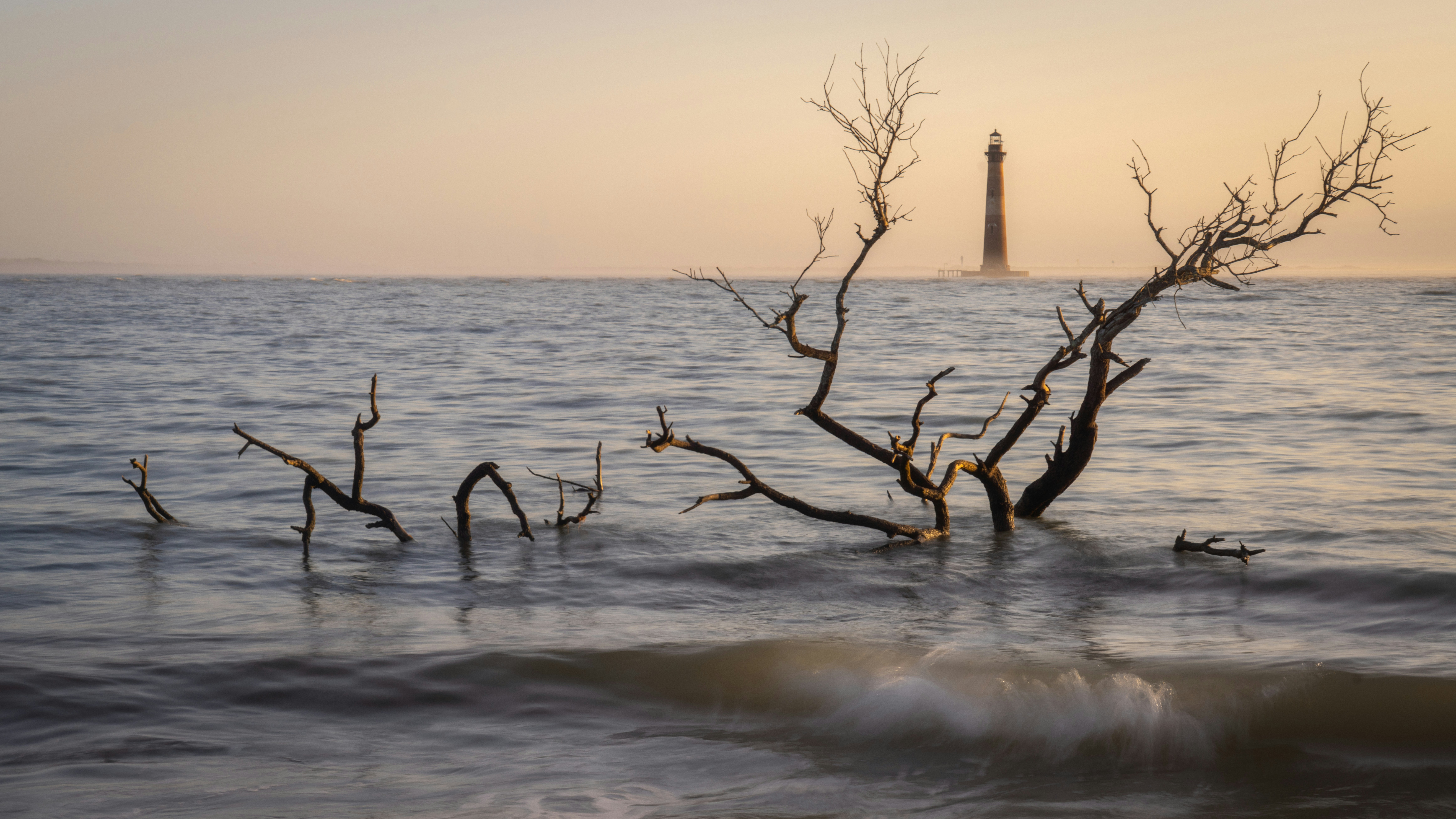 Driftwood Sentinels: Sea Branches Reach Toward the Lone Lighthouse