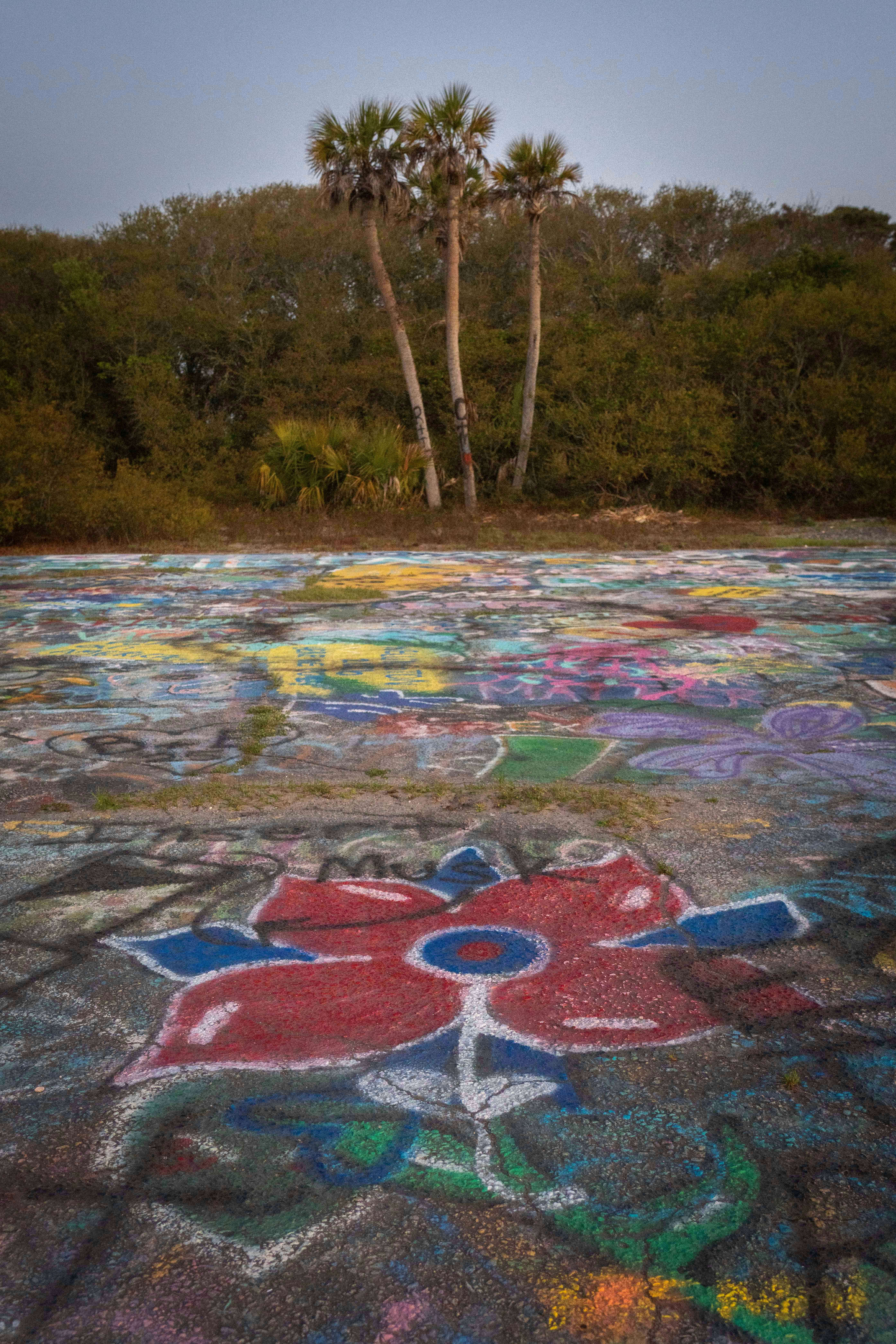 Colorful Canyon: Graffiti Plains Near a Palm Grove