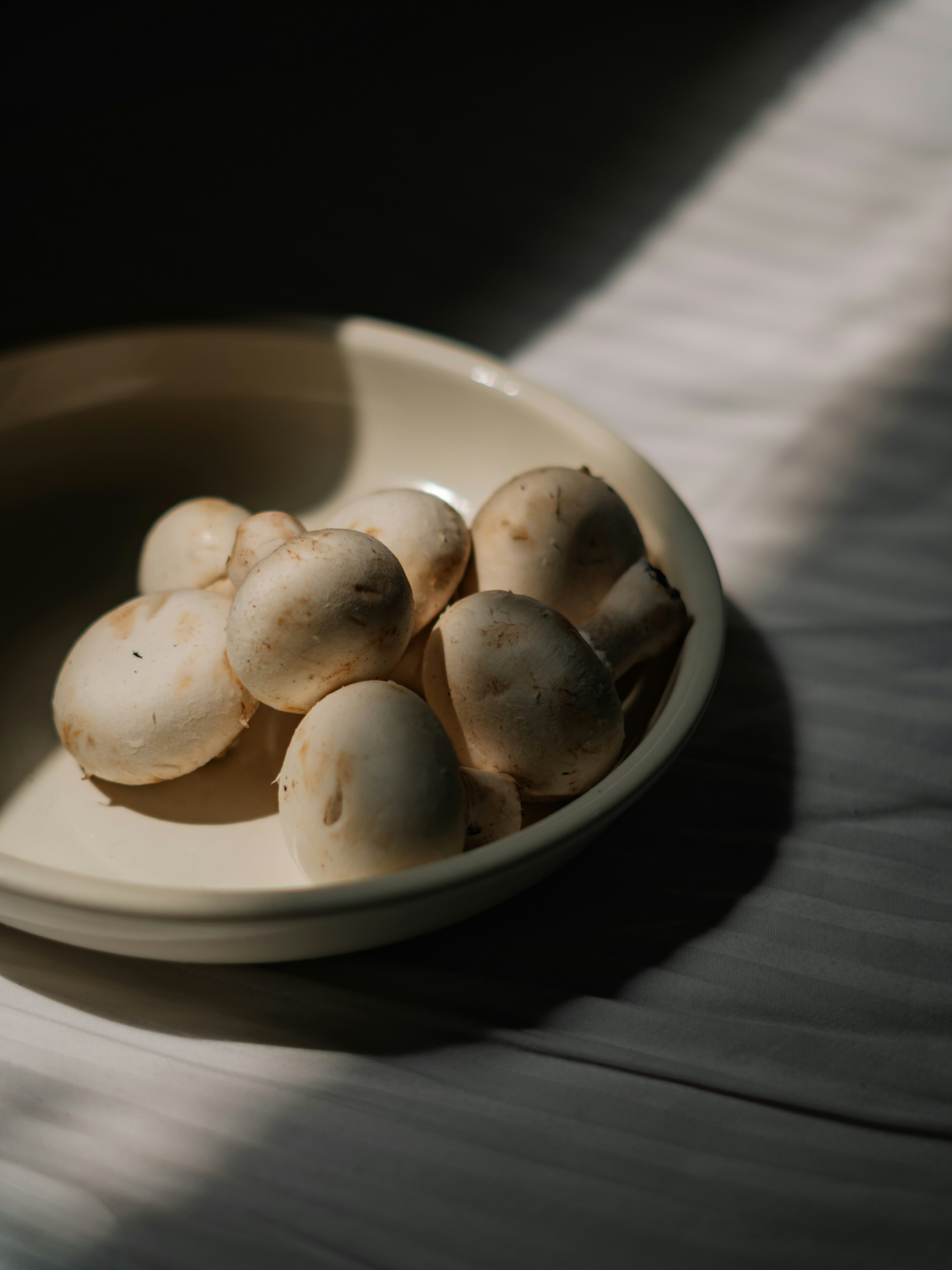 Sunlit Dumplings on a Quiet Plate