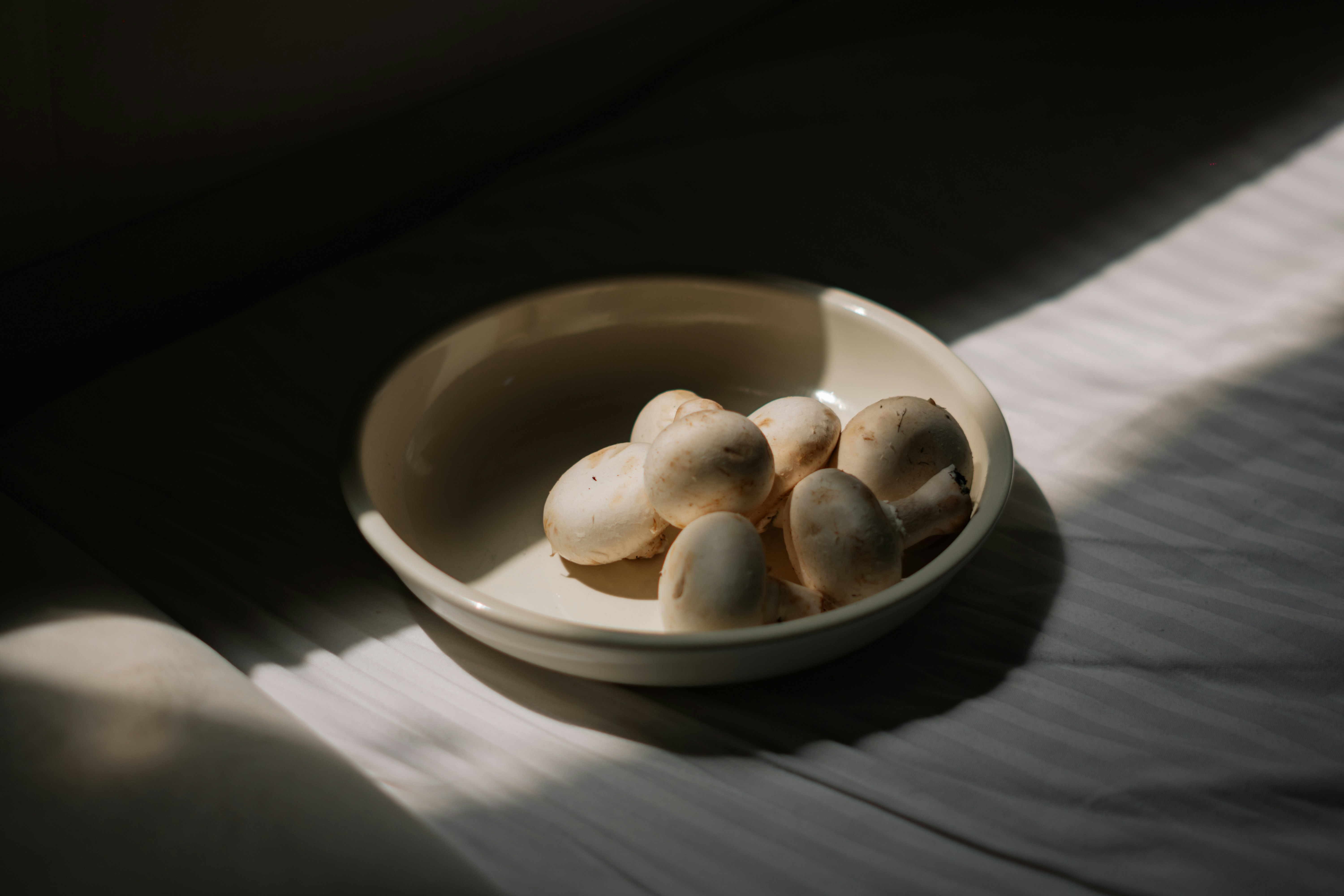 Soft Sunlight on a Quiet Plate of Clusters