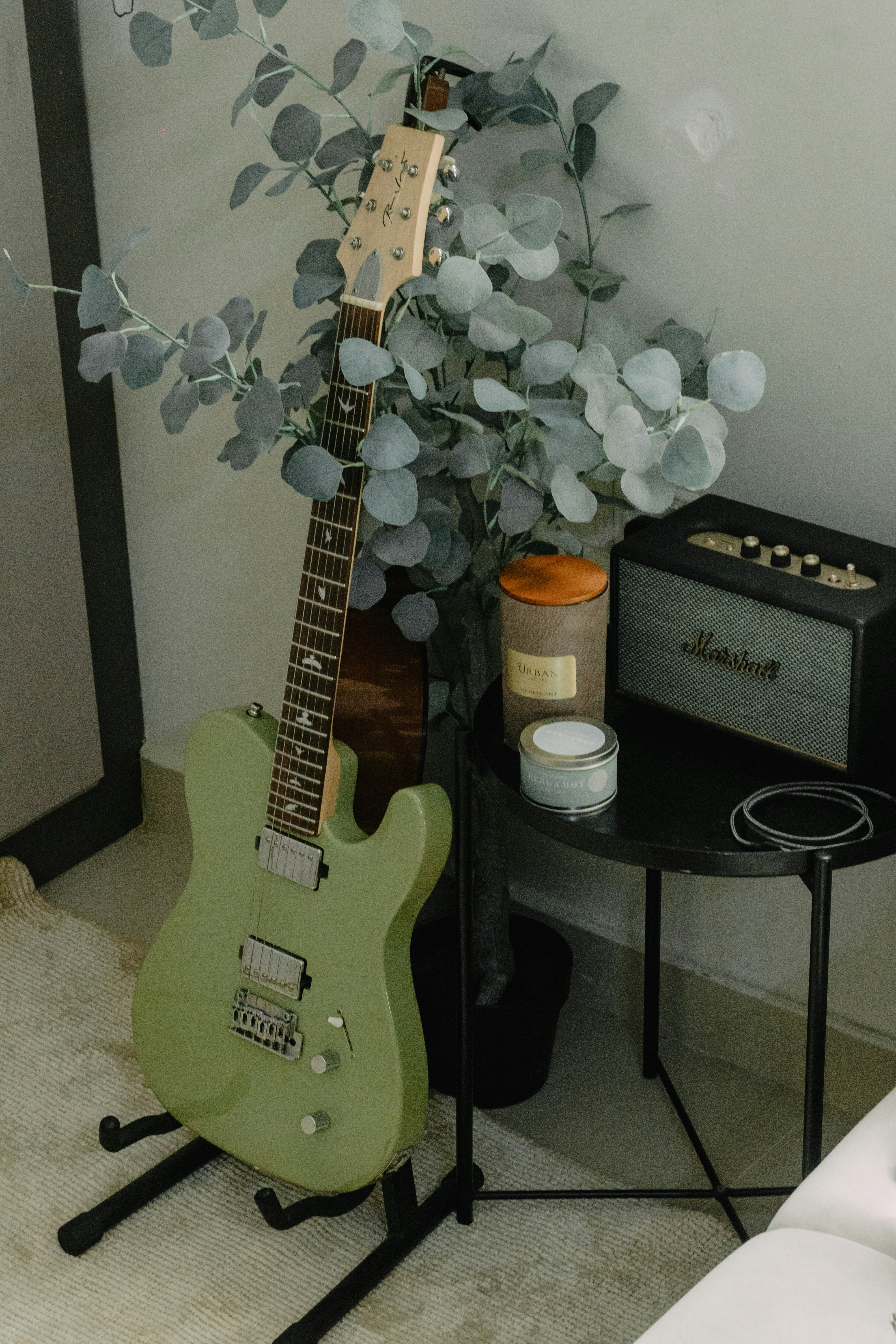 Mint guitar beside potted eucalyptus and vintage amp