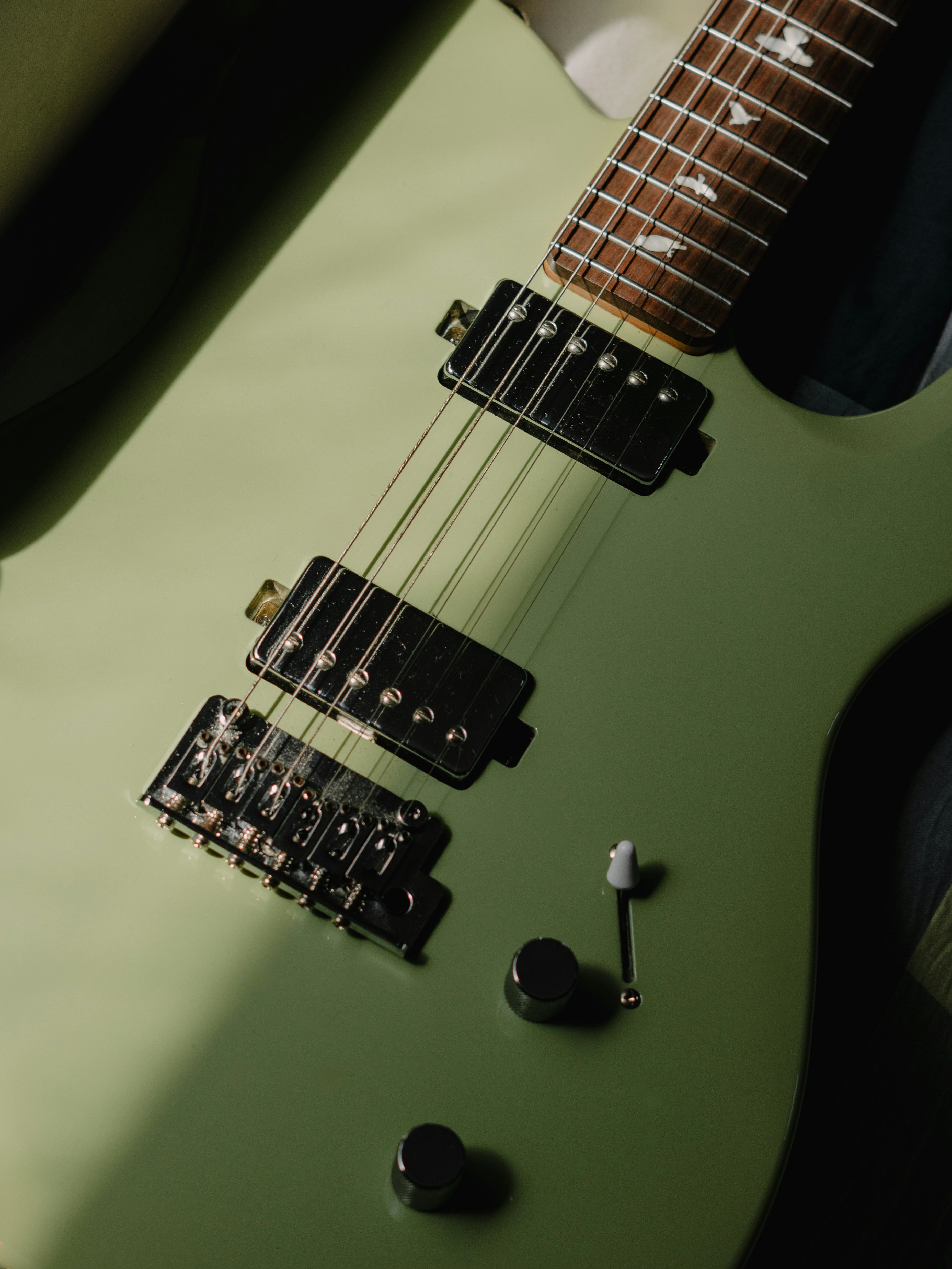 Verdant Guitar in Shadowed Light