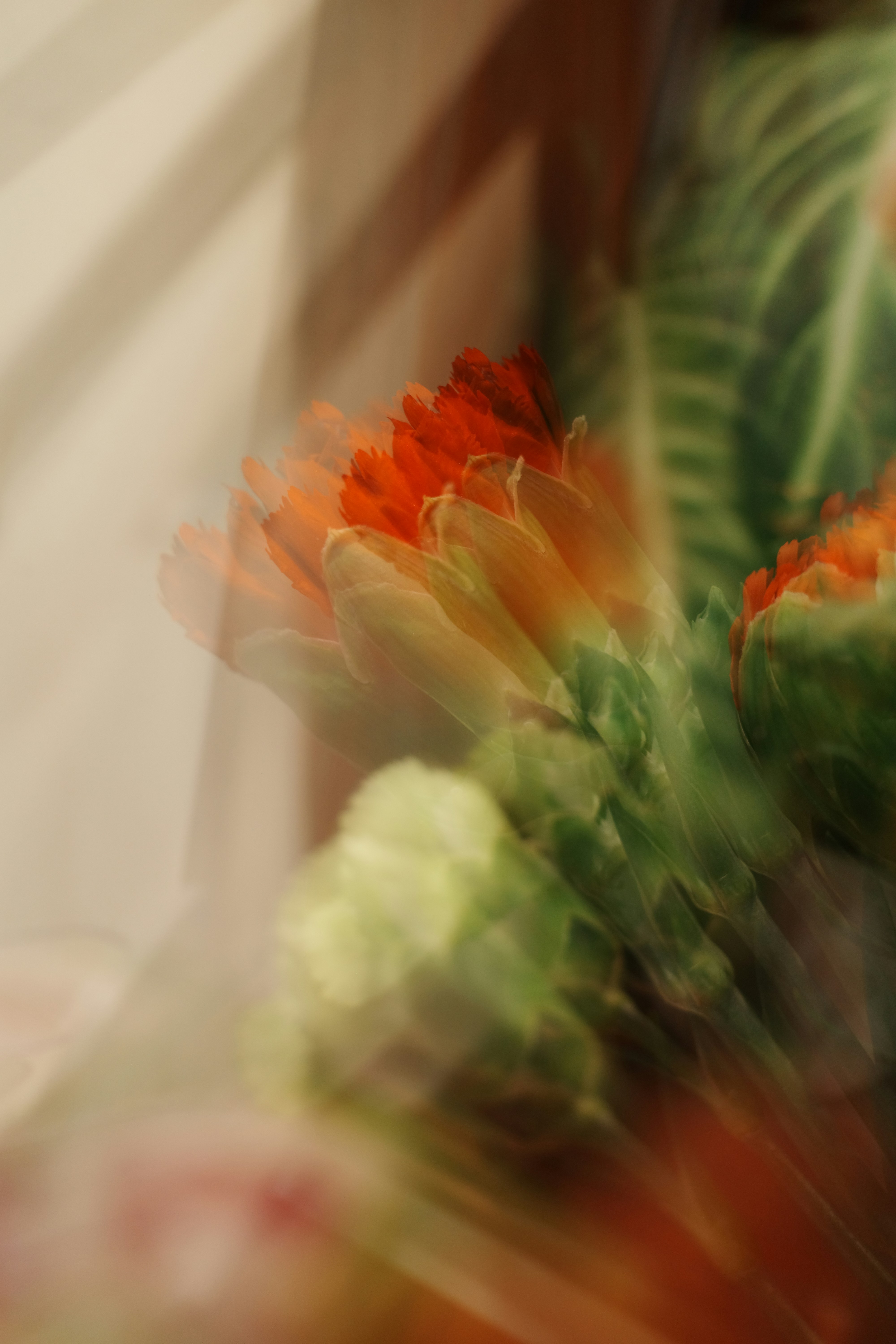 Blurred Bouquet in Motion: Soft Focus, Warm Tones