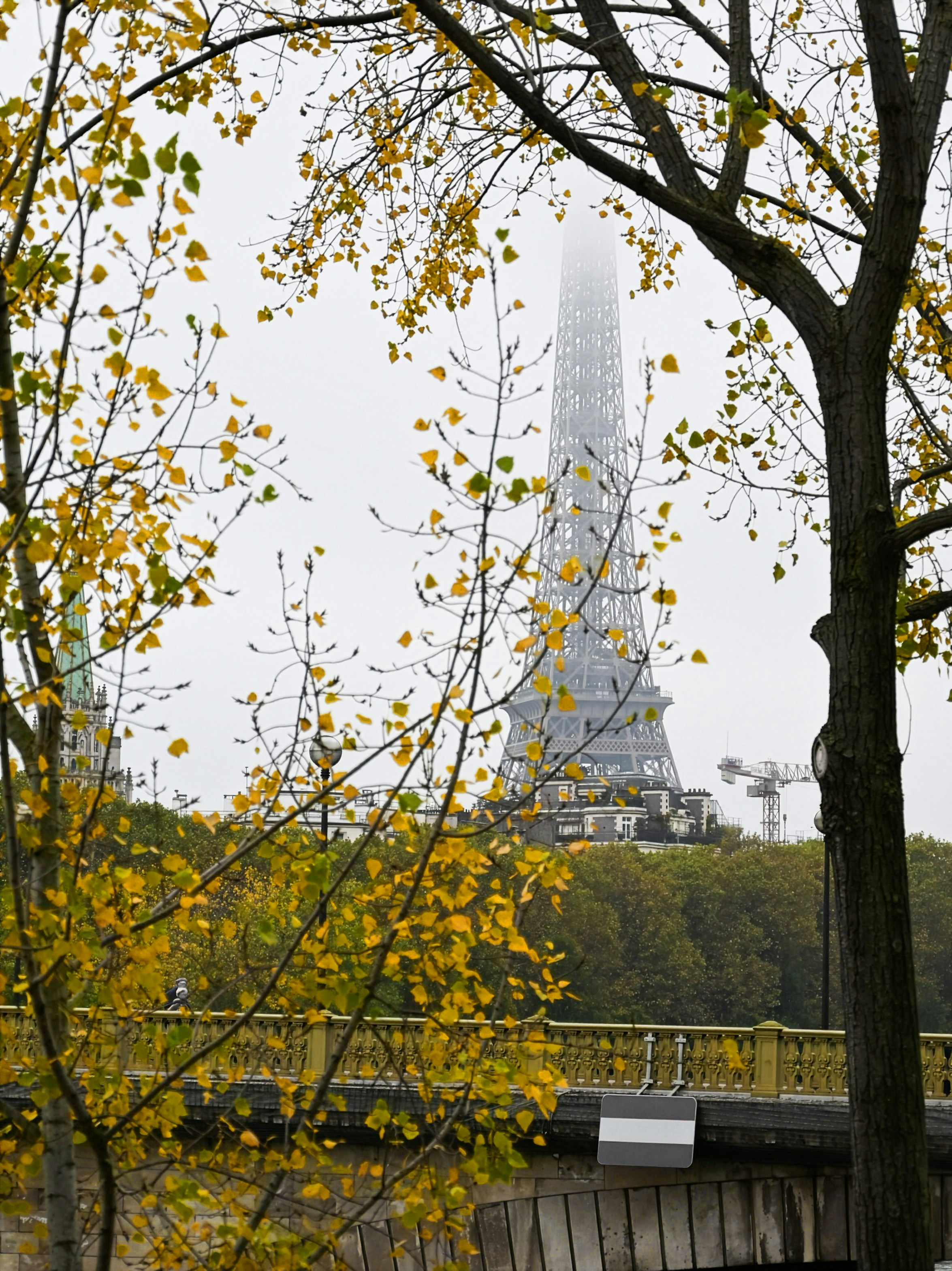 Towering Spire Behind Autumn Veil