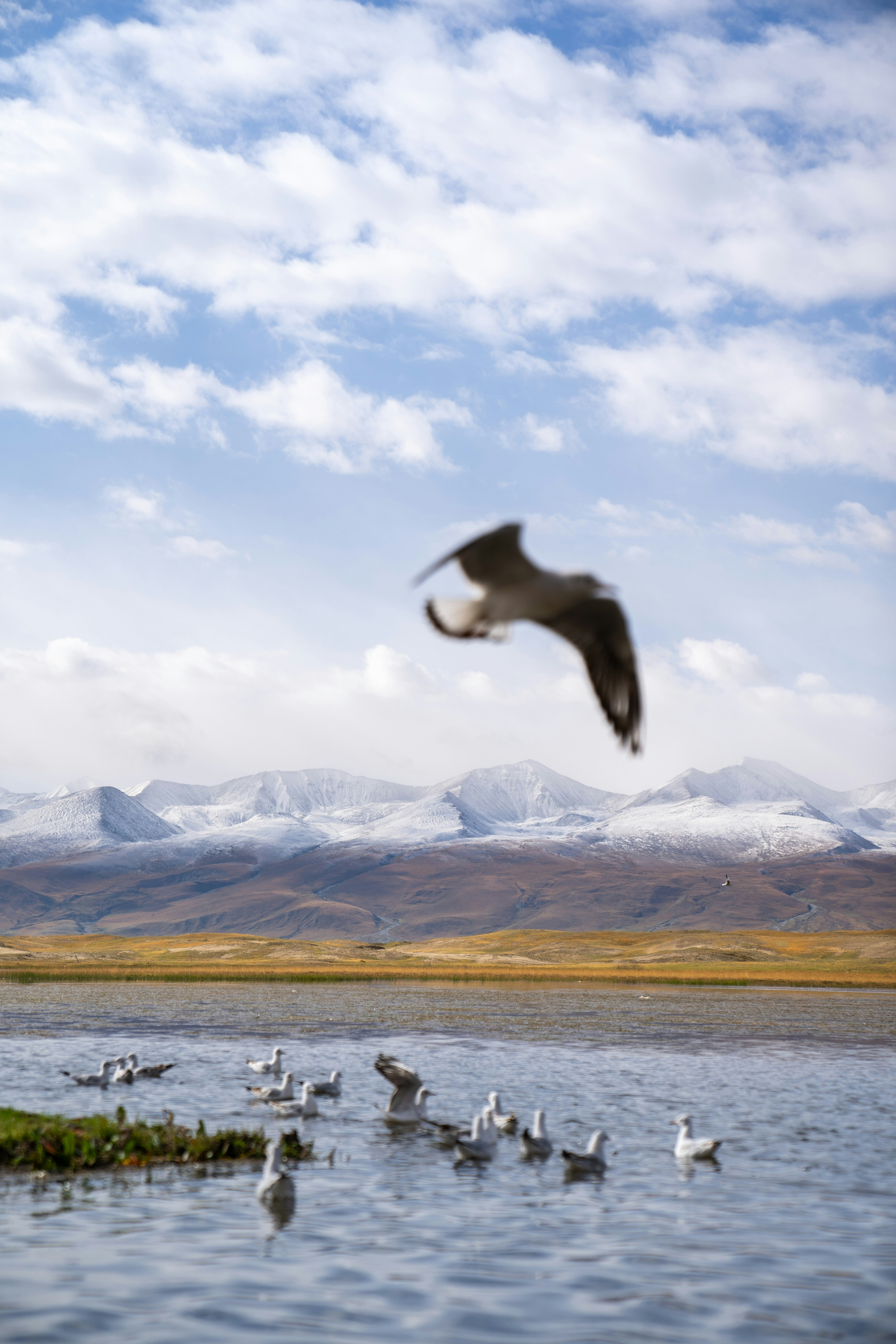 Mid-Air Glide Over Snow-Capped Mountains