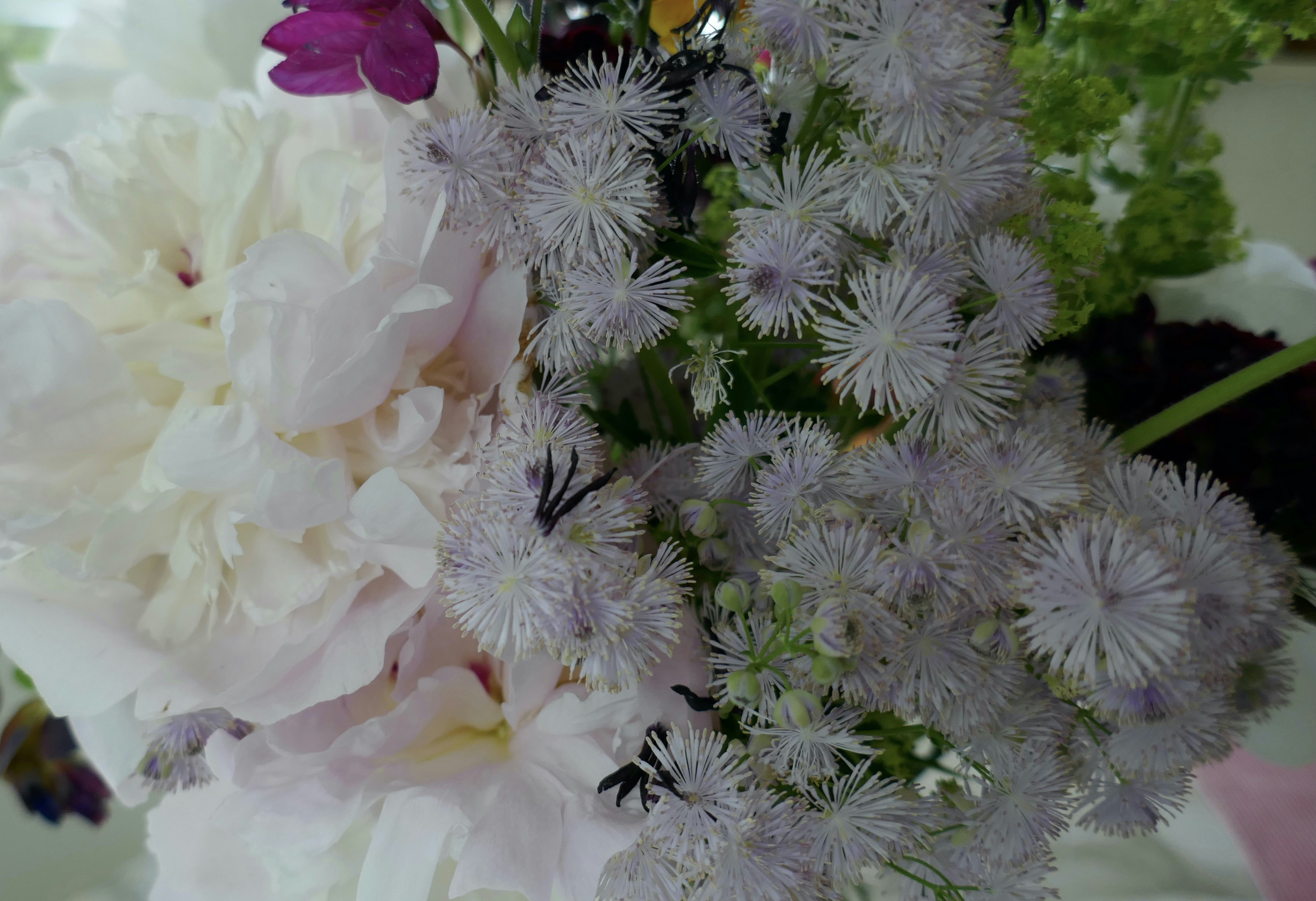 Soft bouquet haze: delicate seed head clusters woven with pale petals