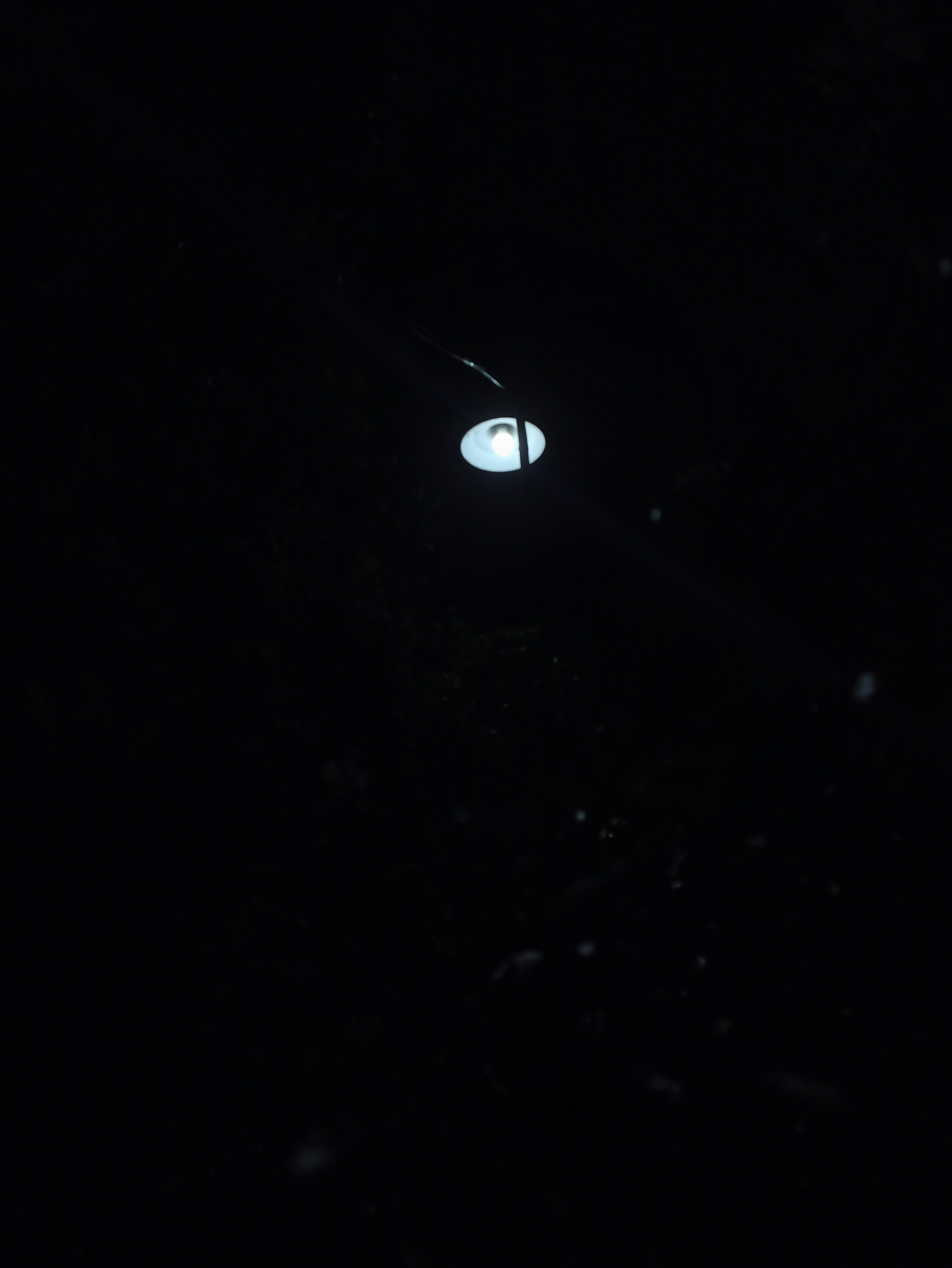 Hidden Crescent: A Single Light in the Night