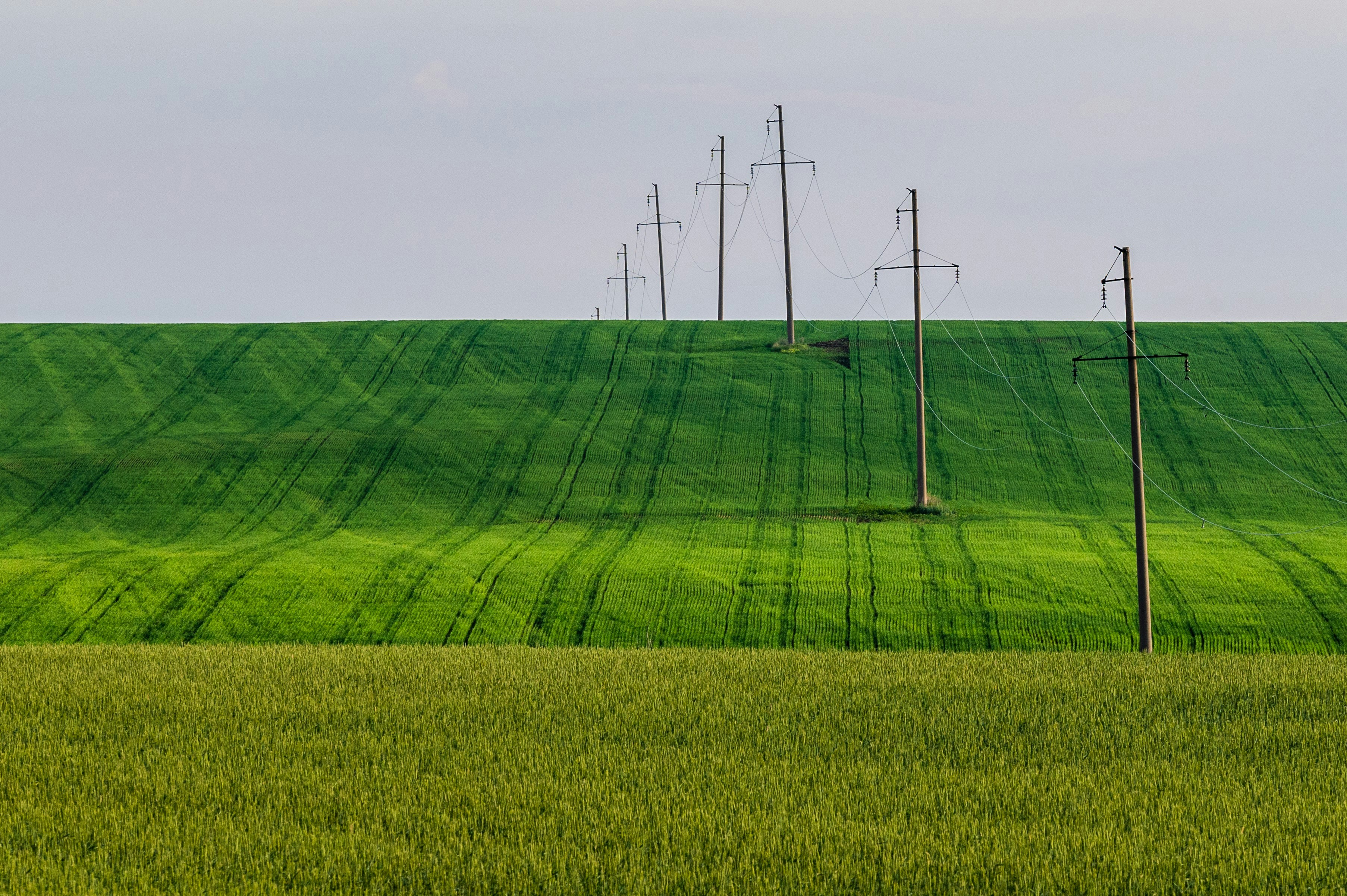 Power Lines Across a Rolling Field