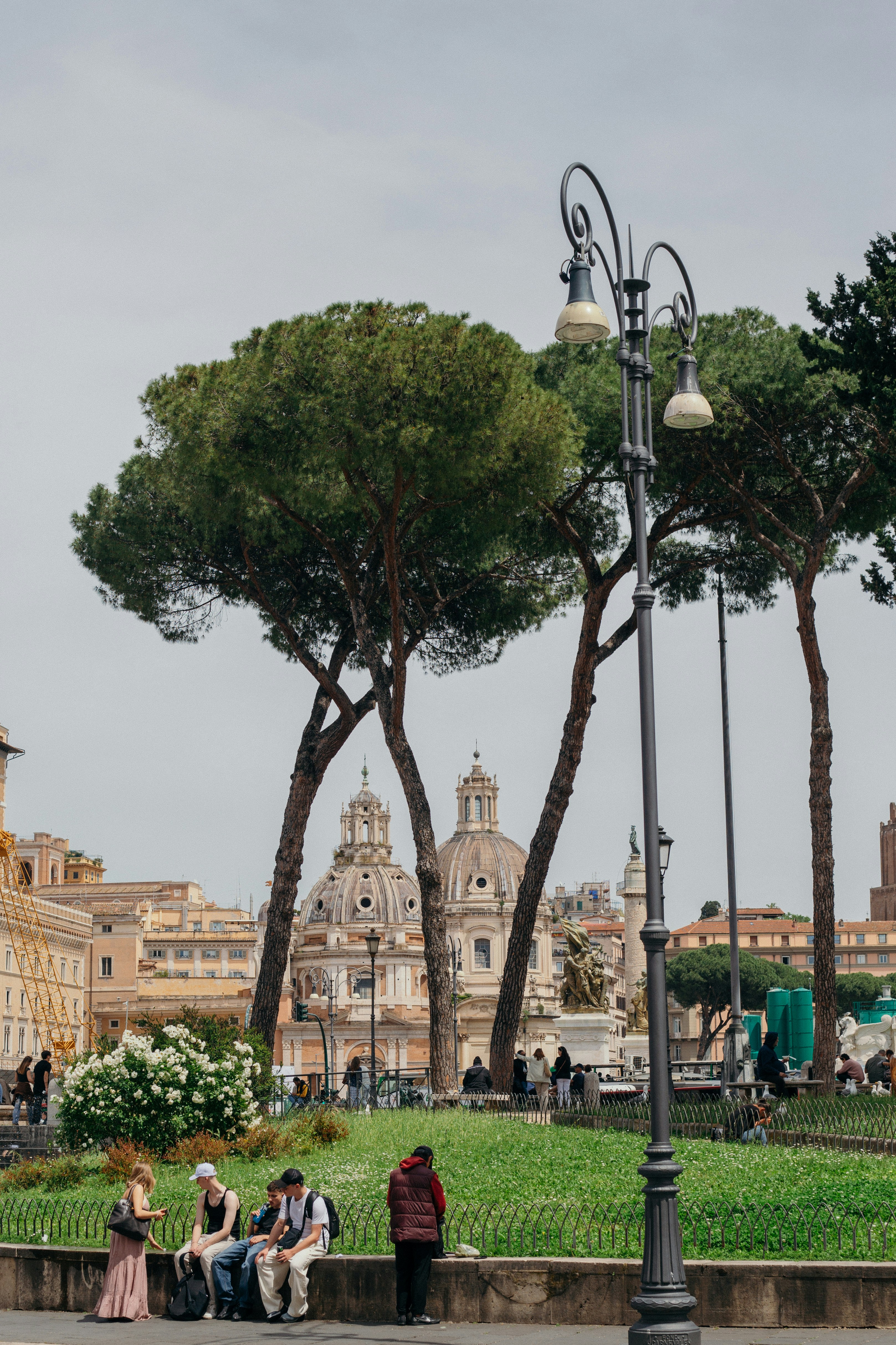 Stately lampposts and domed skyline framed by umbrella pines