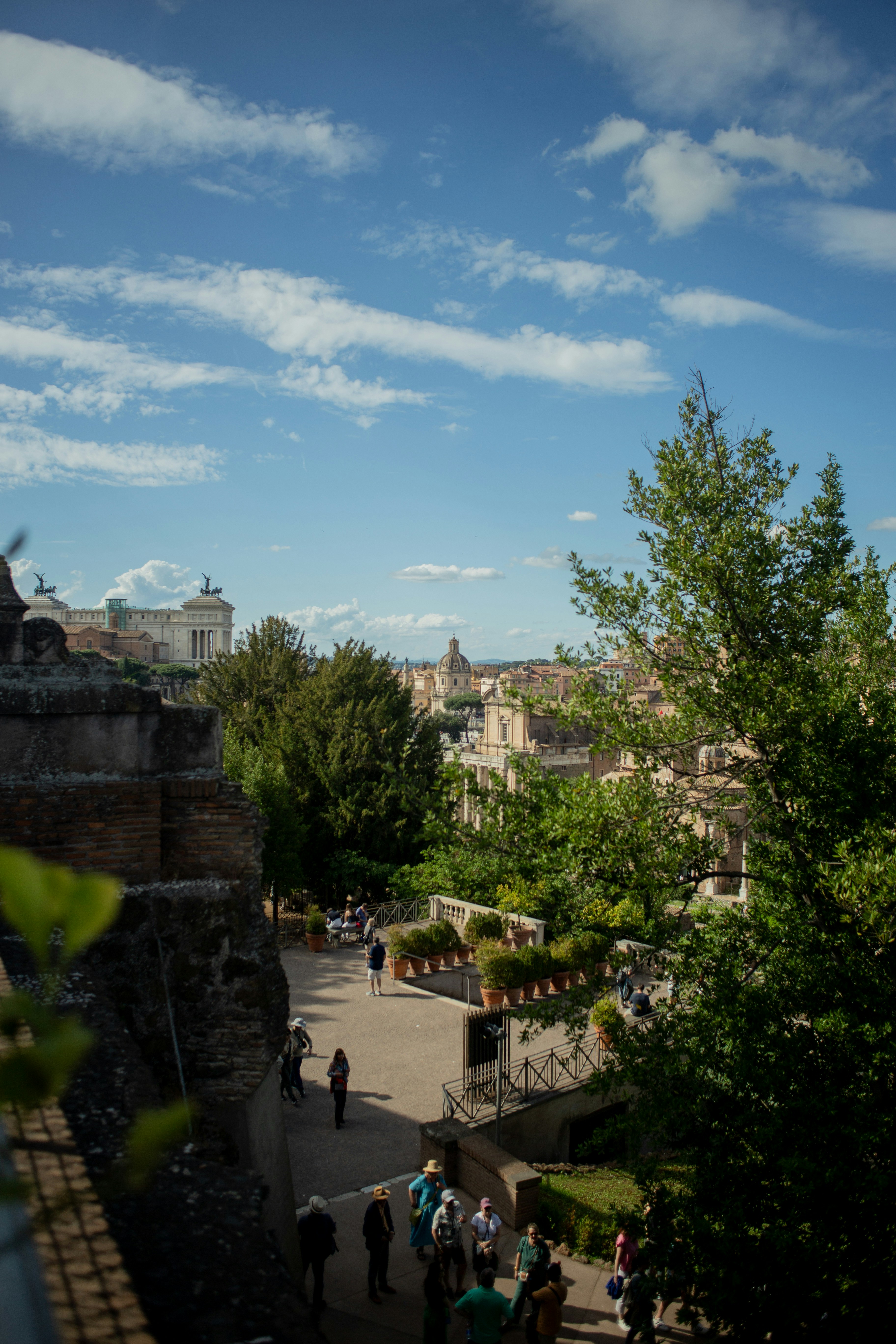 Terraced Vista Overlooks a Sunlit City Park