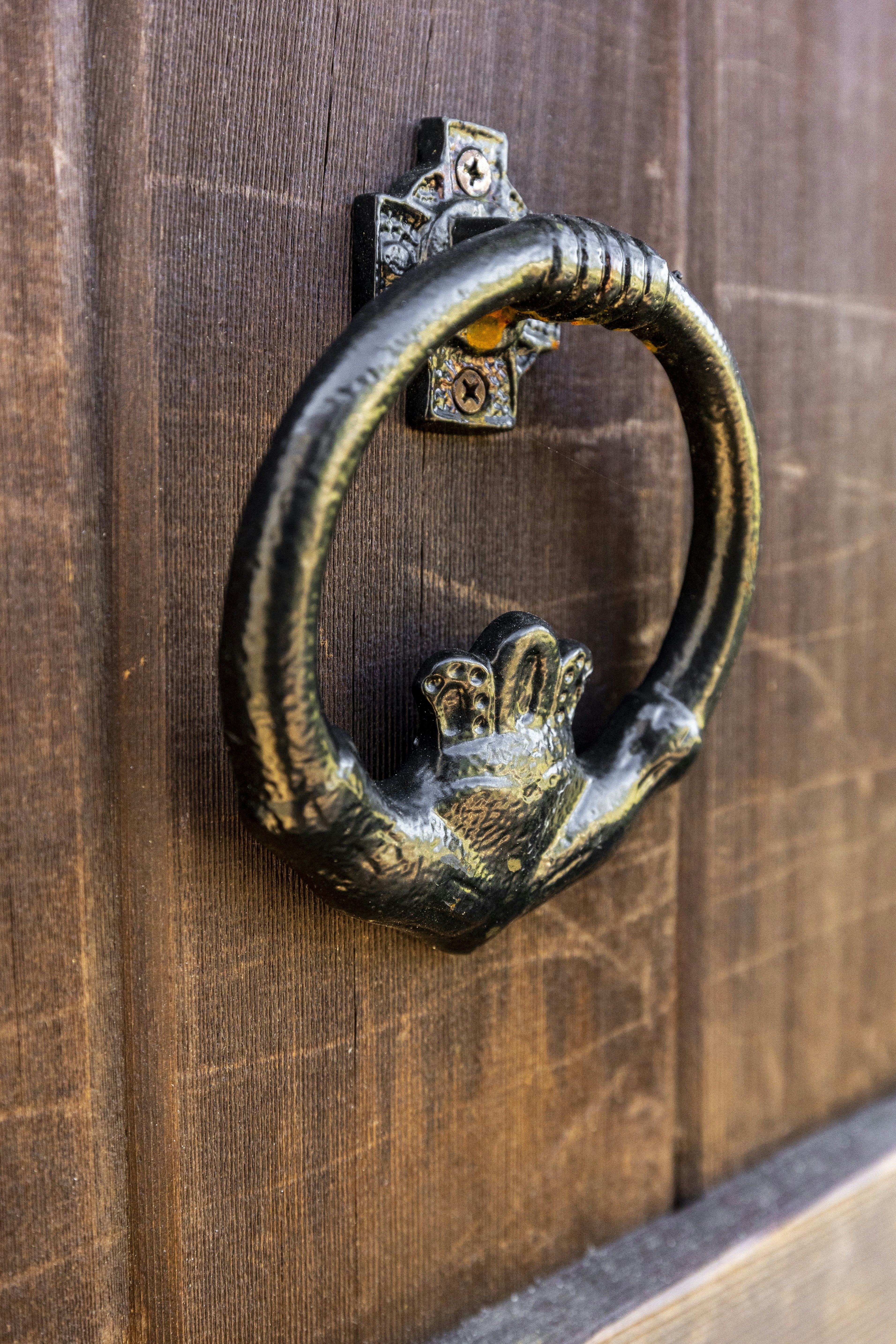 Bronze Ring on Weathered Wood: A Quiet Door Knocker's Echo