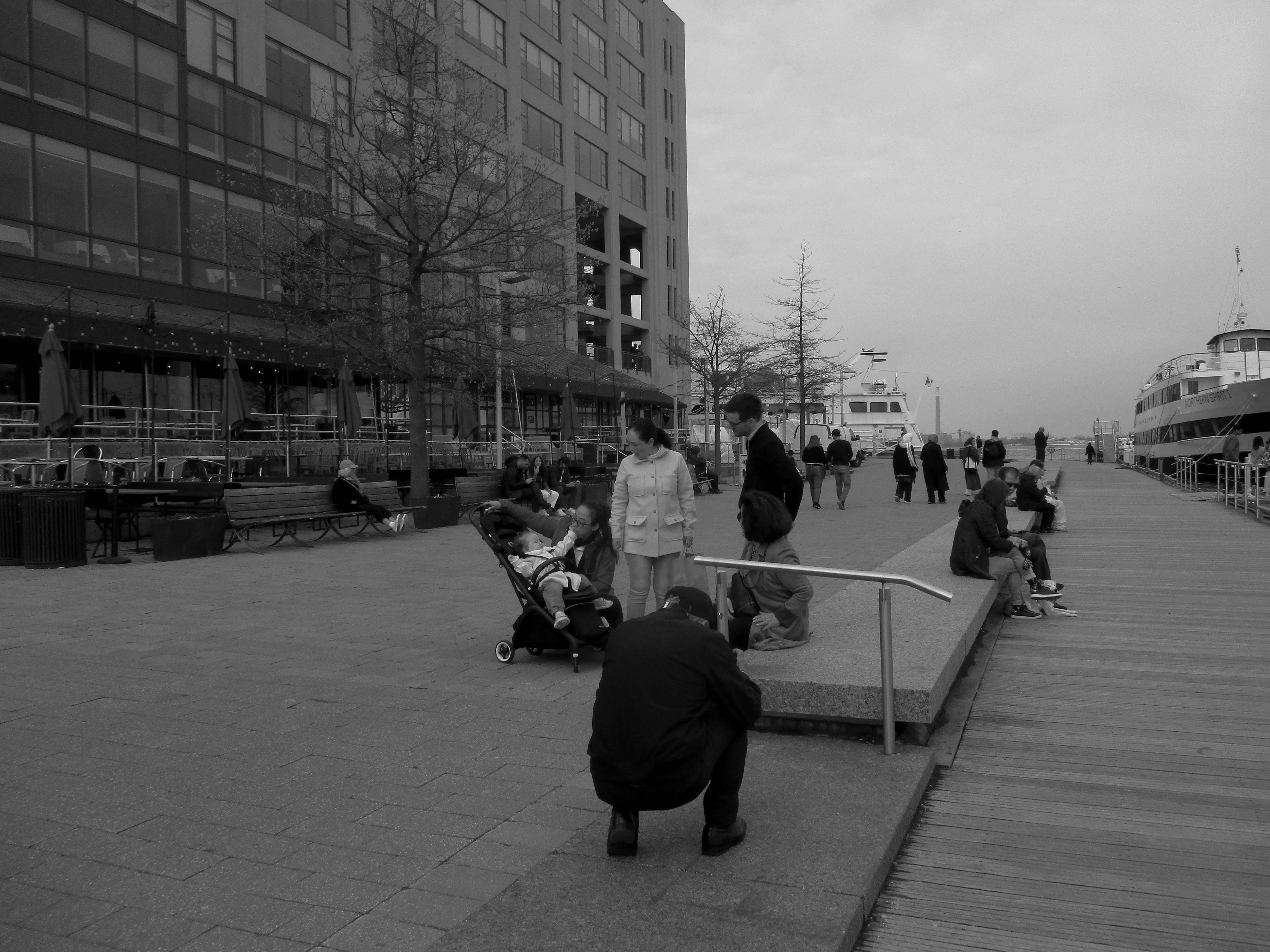 Harborboard Portrait: People at the Waterfront
