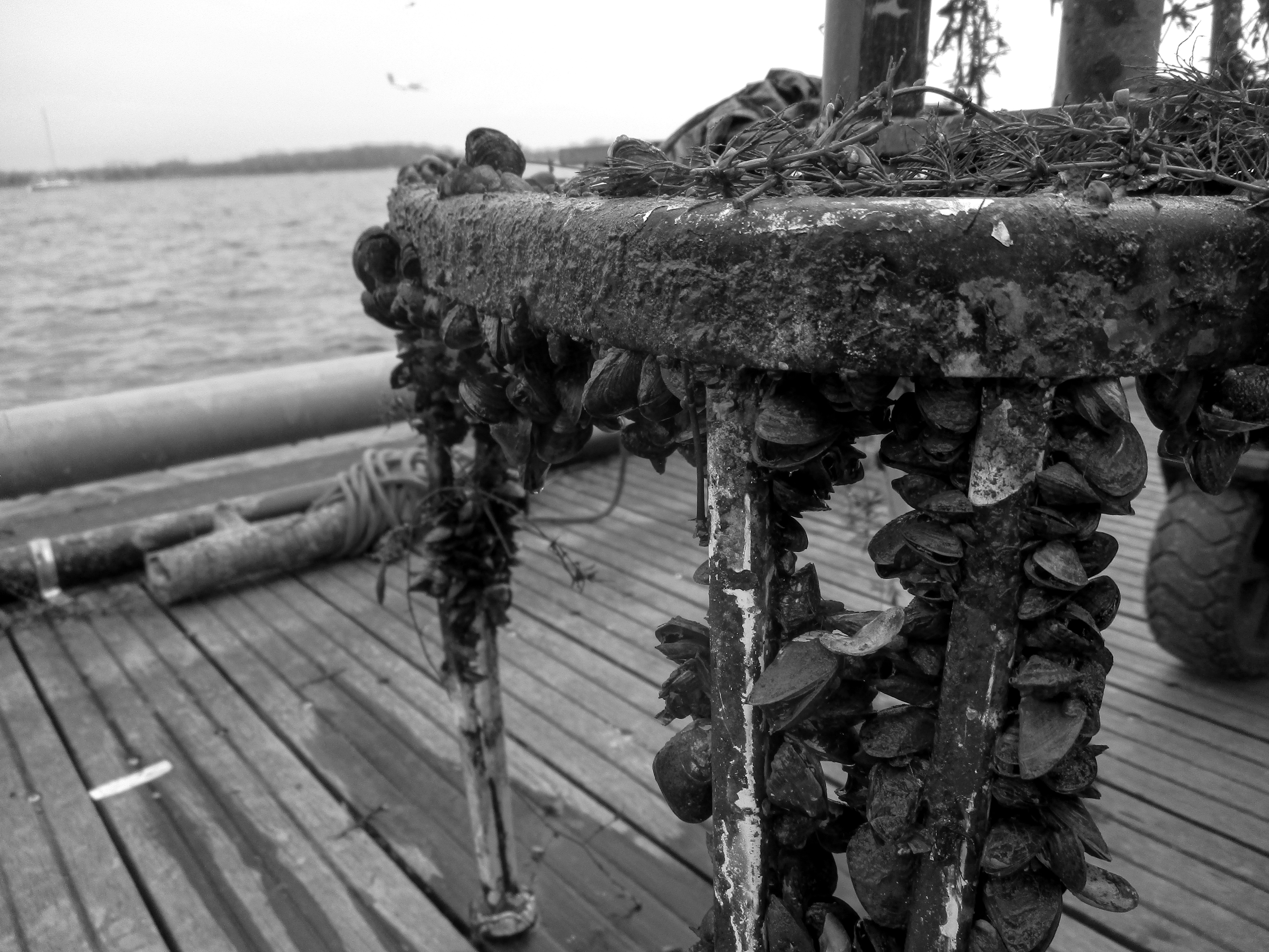 Barnacled railing on a weathered pier pierces the still horizon