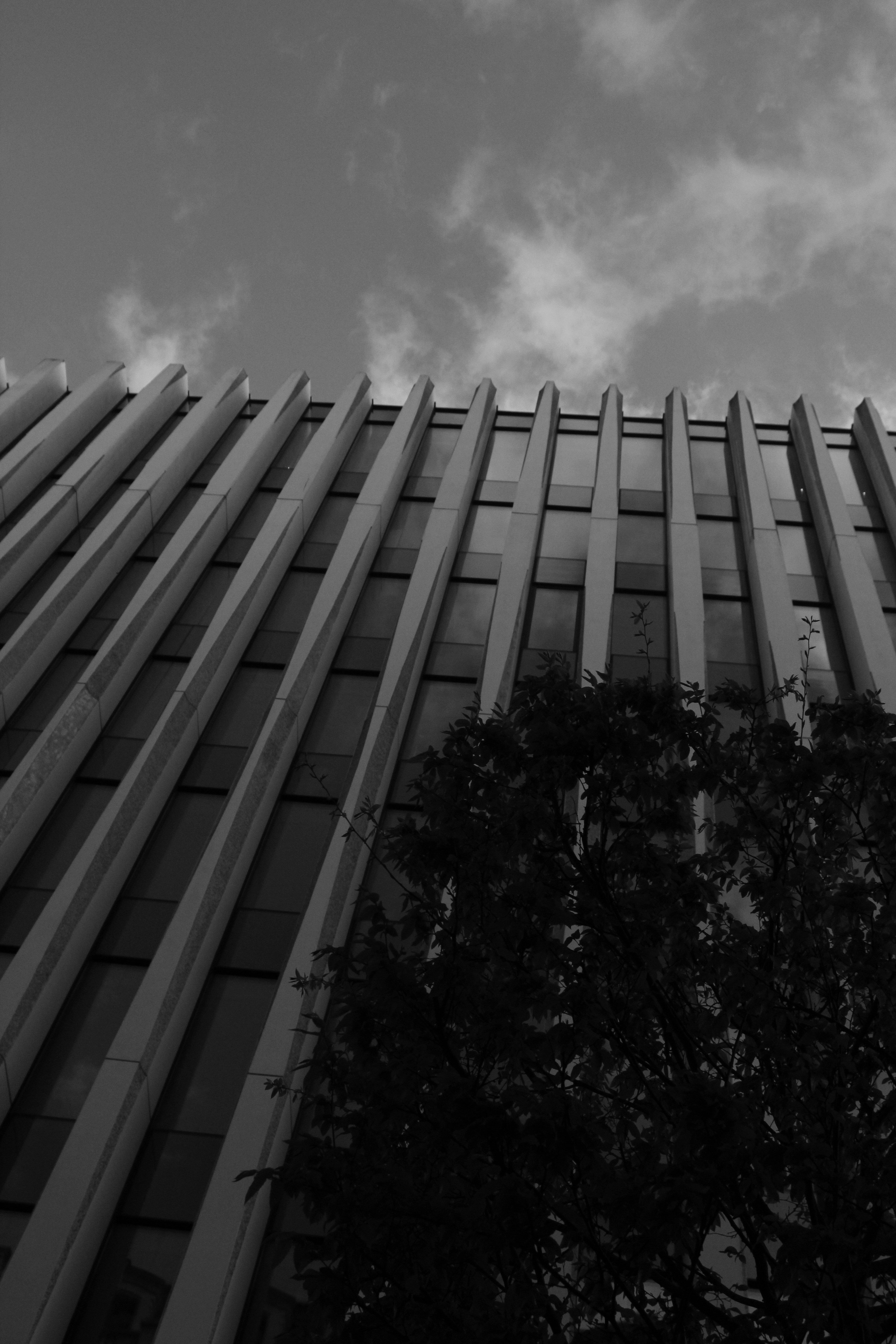 Vertical Struts in Shadow: Chicago-Style Facade under Narrow Sky