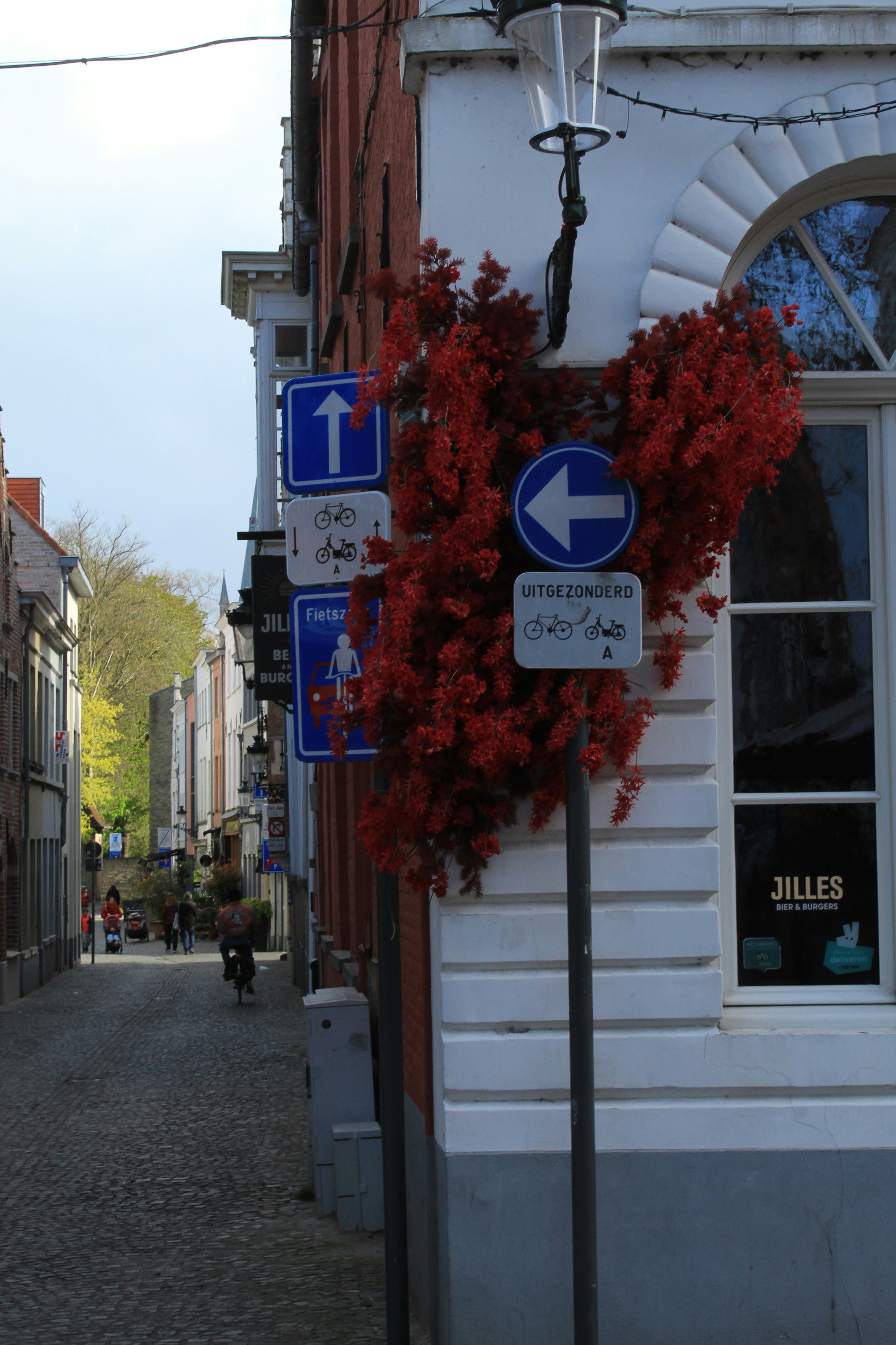 Red Bouquets and Street Signs: A Quiet Alleyway Portrait