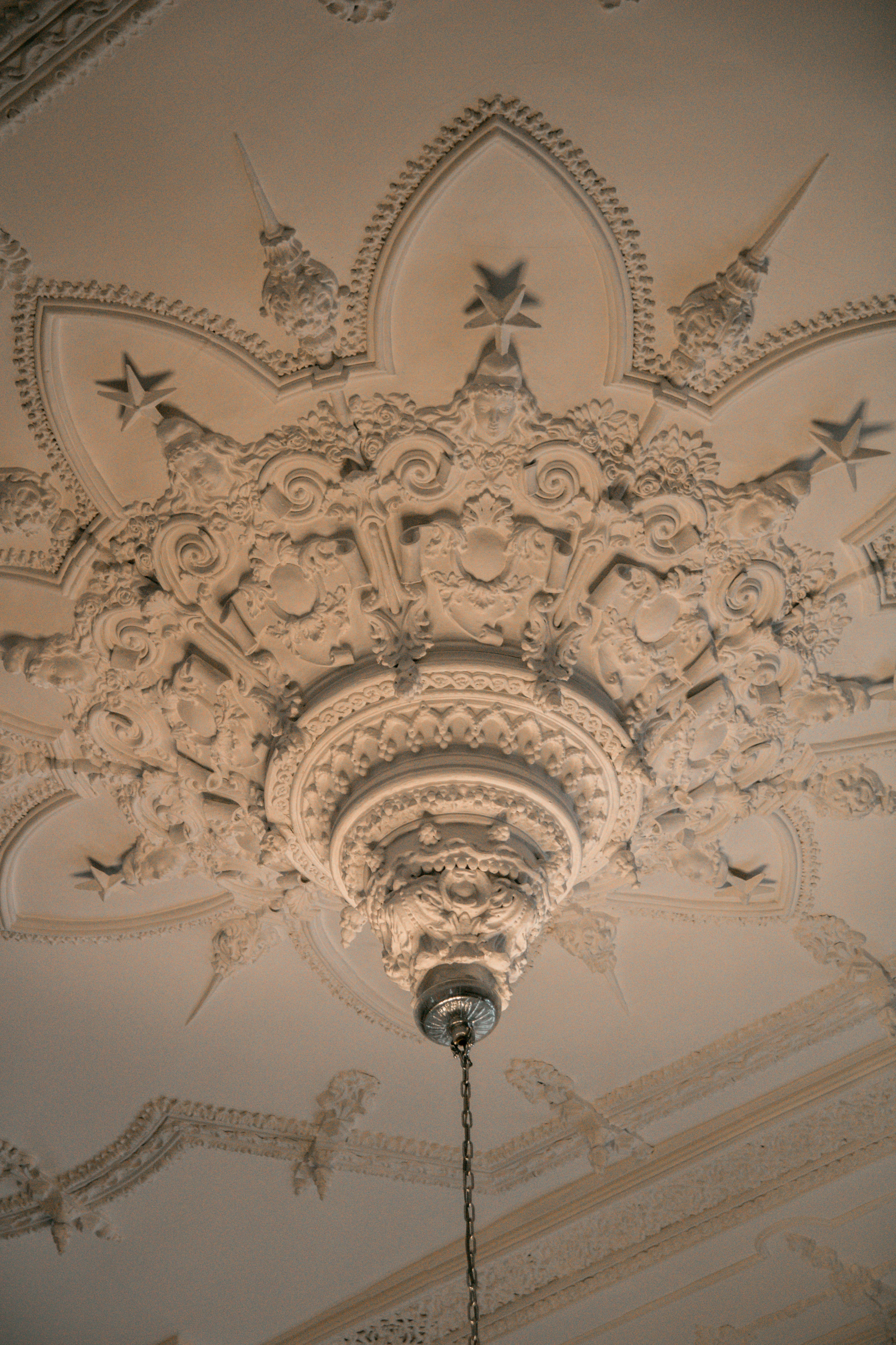 Intricate Plaster Crown: A Cenote of Ornament on the Ceiling