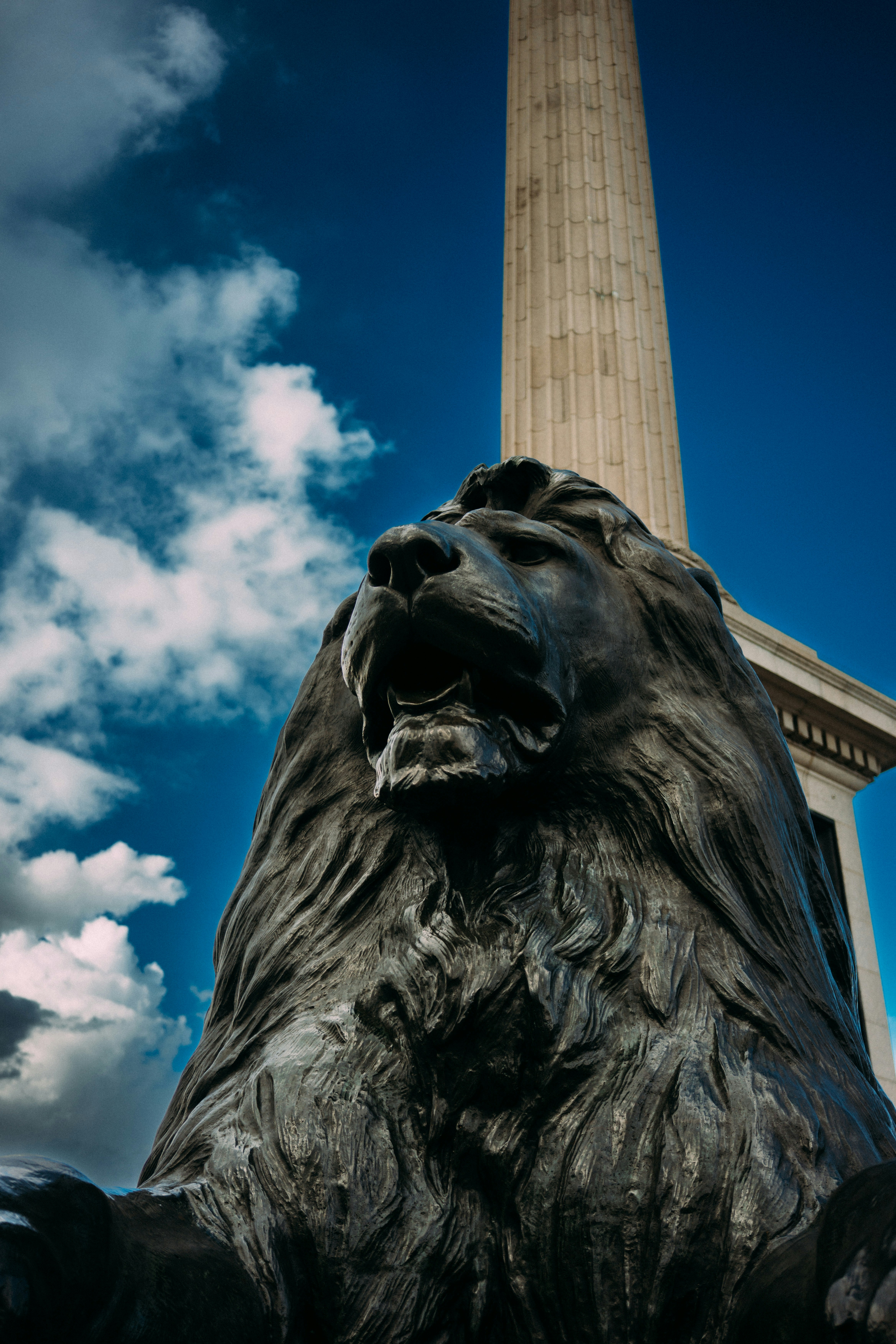 Majestic Lion in Monumental Light