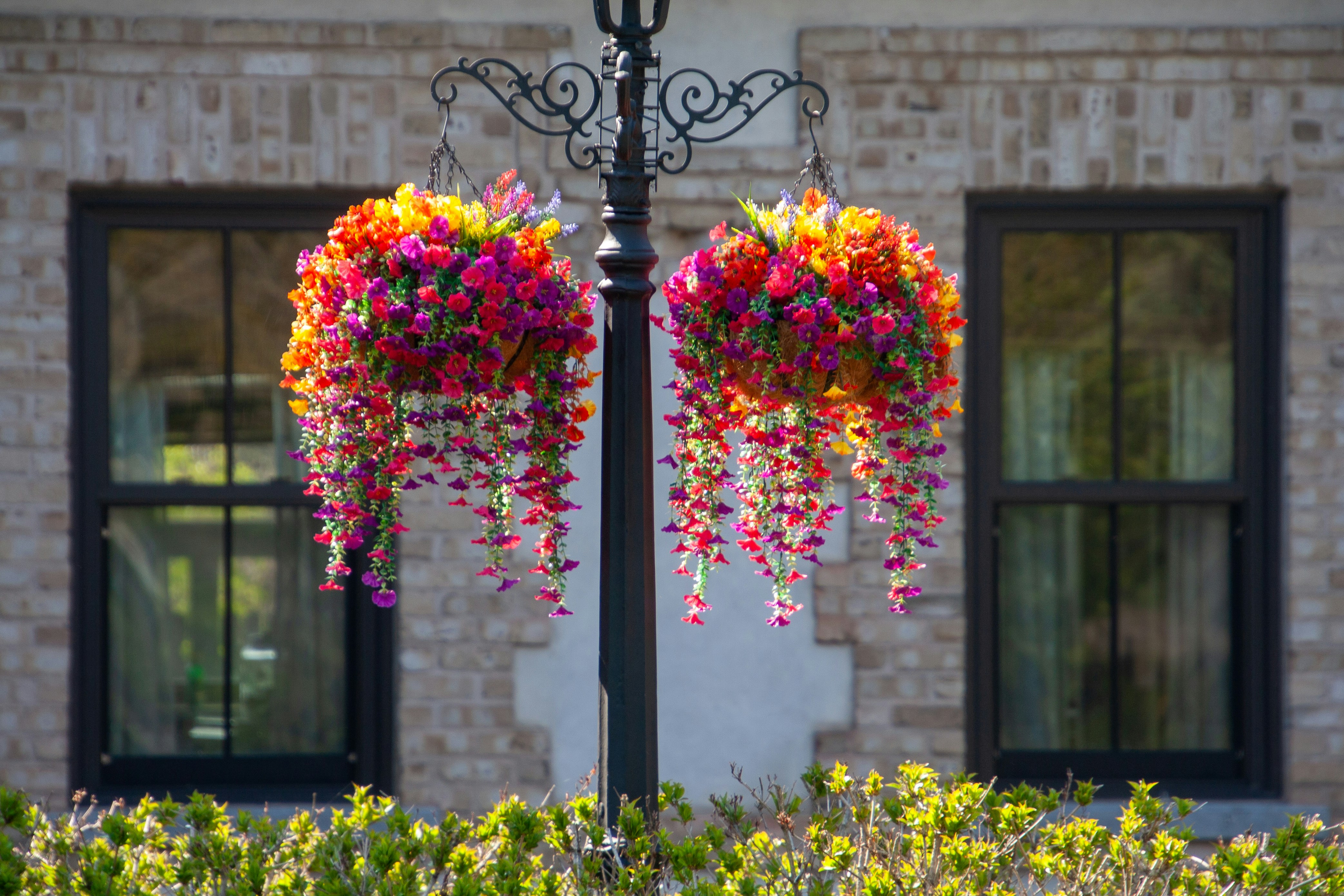 Twin Floral Lanterns: Vibrant Cascades Framing a Central Lamp Post