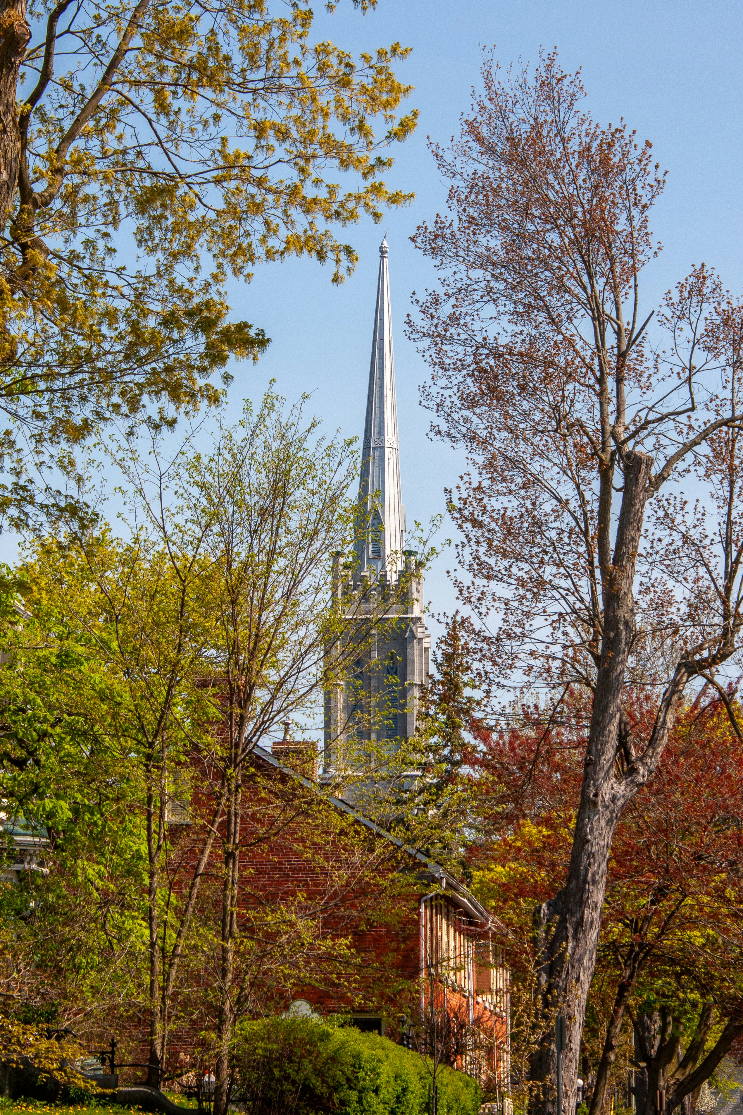 Spire Piercing the Canopy: Autumn Church Tower in Transit
