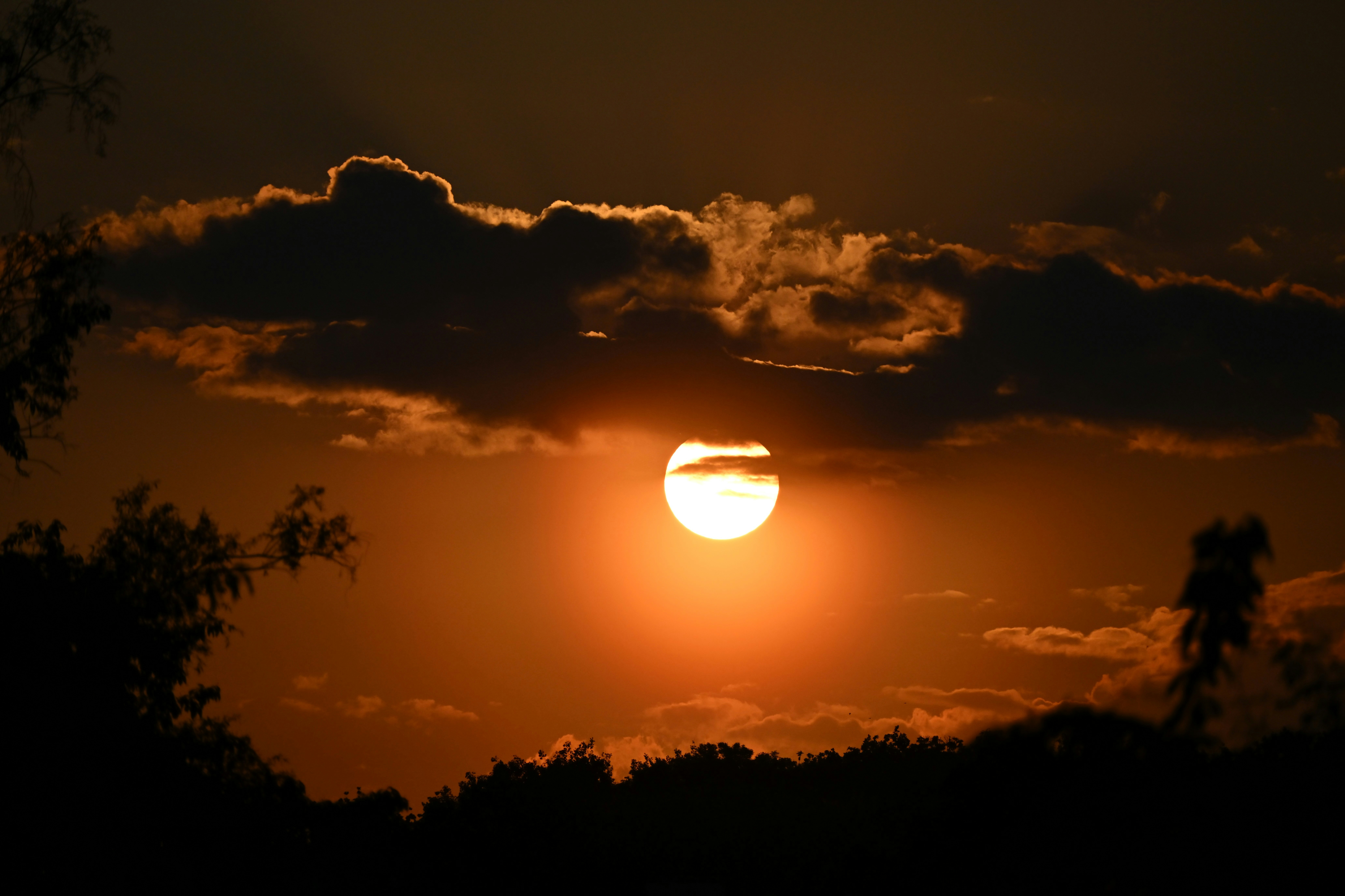 Sunfall Over the Horizon: A Quiet Dusk