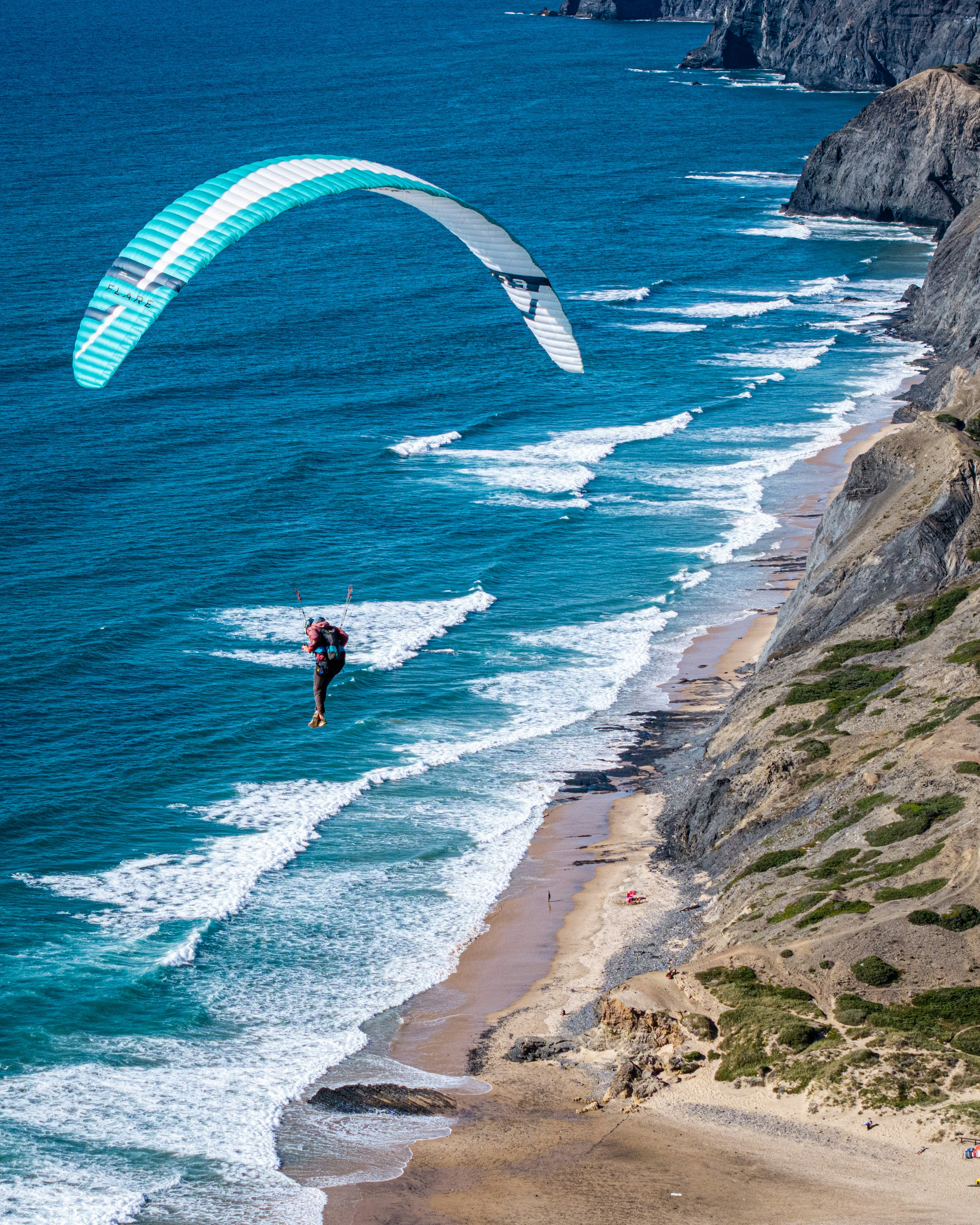 Winged Glide Along a Cliffside Coast