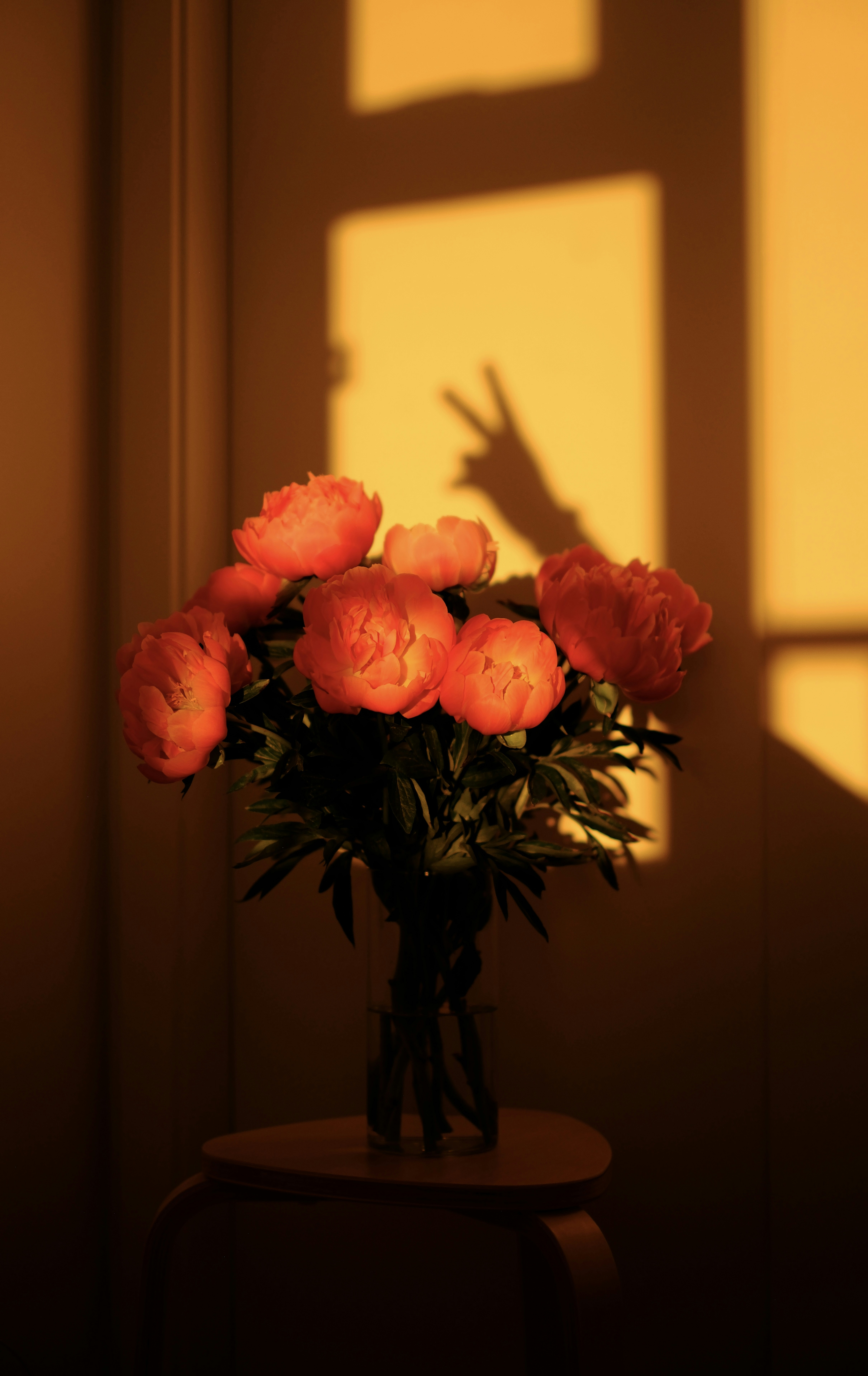 Glow of Golden Peonies: Backlit Bouquet in Shadowed Window Light