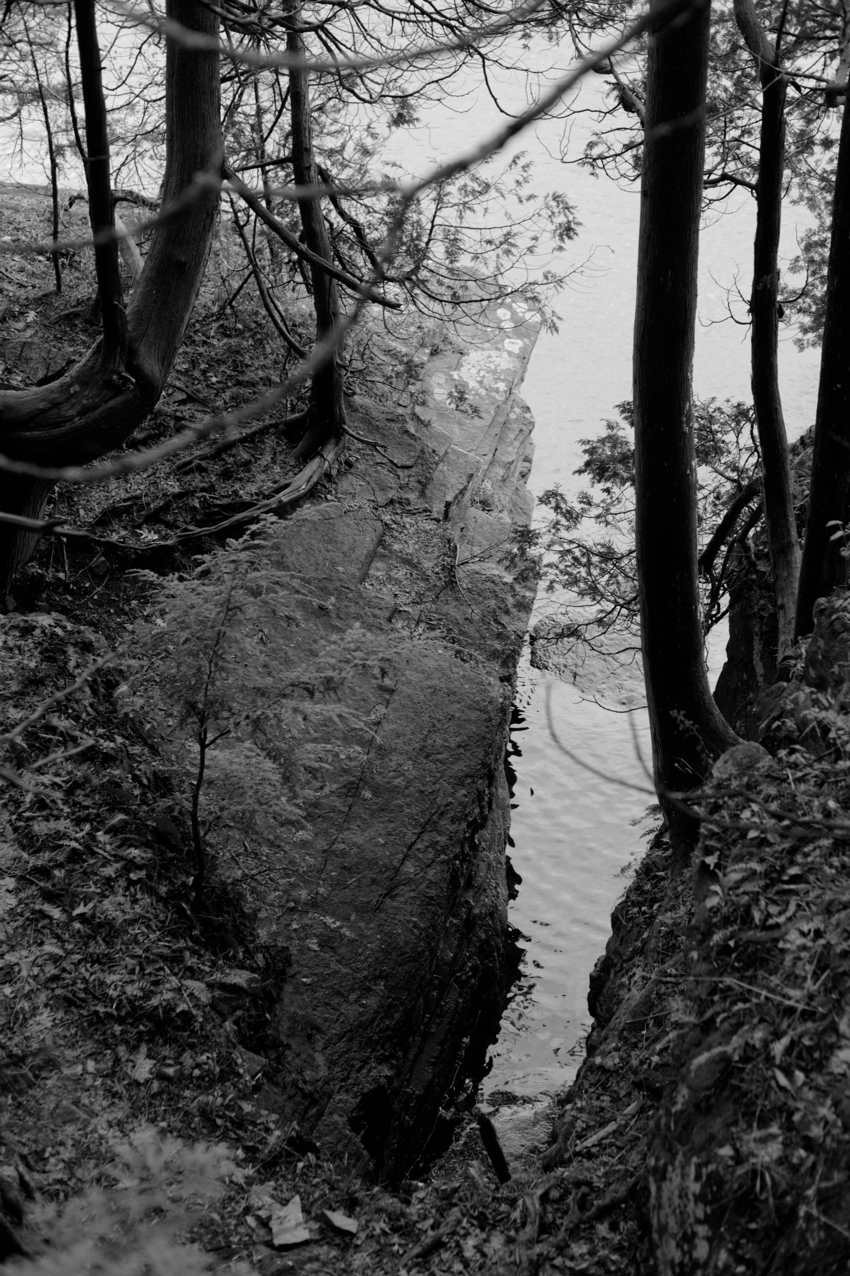 Between Two Cliffs: A Narrow Sea of Silence