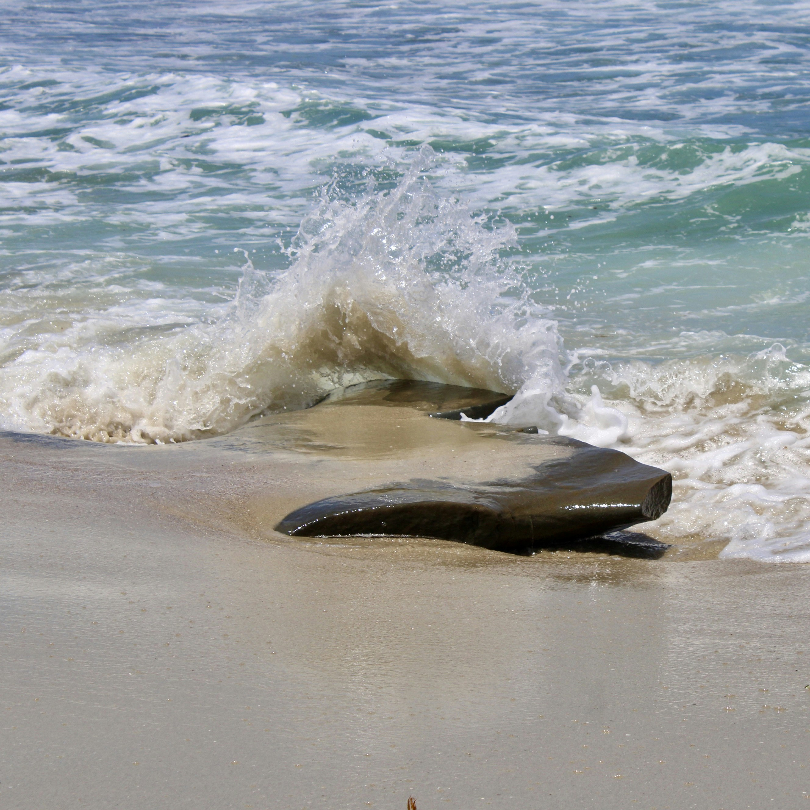 Surfacing Silhouette: a Wave Portrait on Sunlit Sand