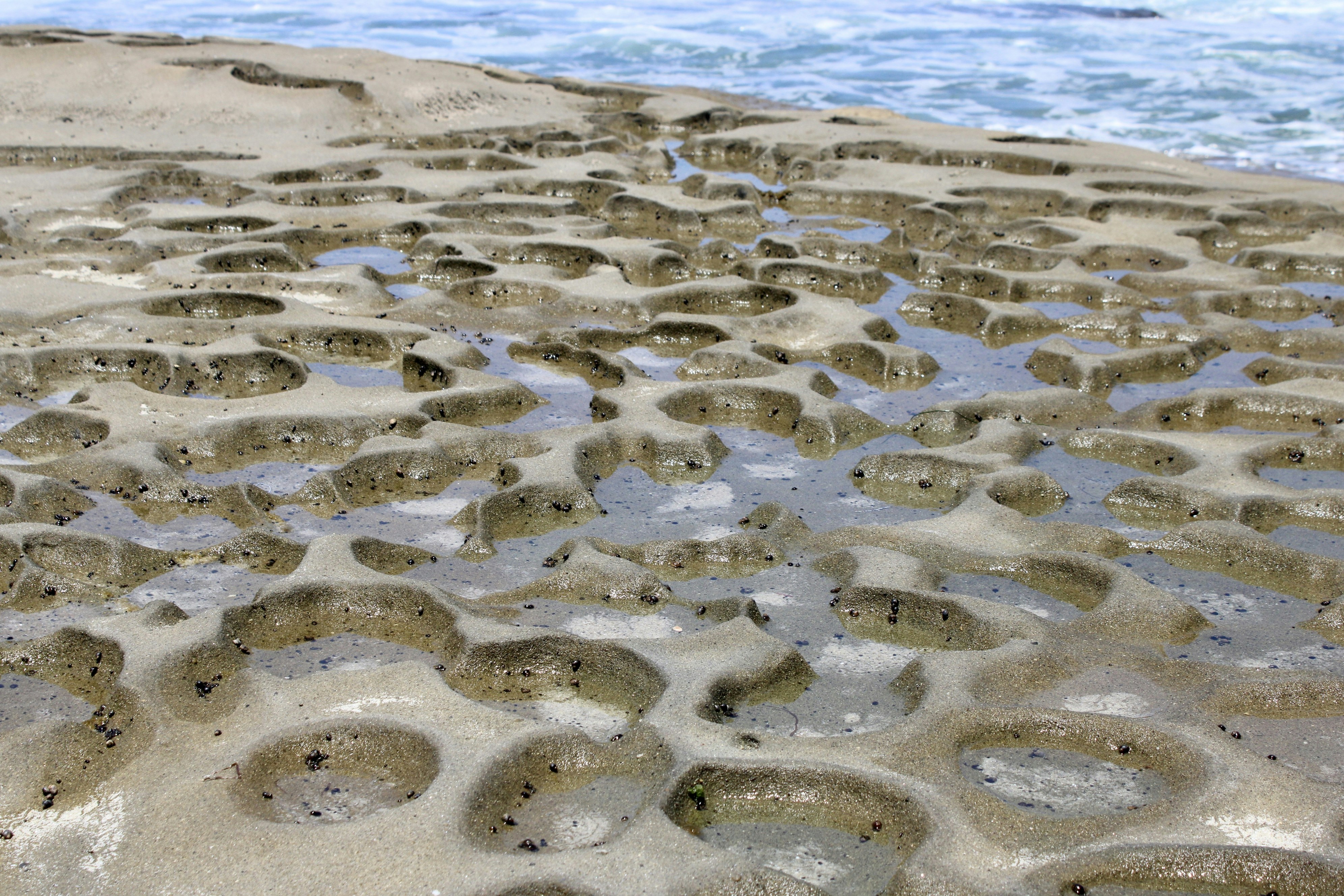 Pebbled Meanders: Tidal Pools Carved into Sunlit Sand