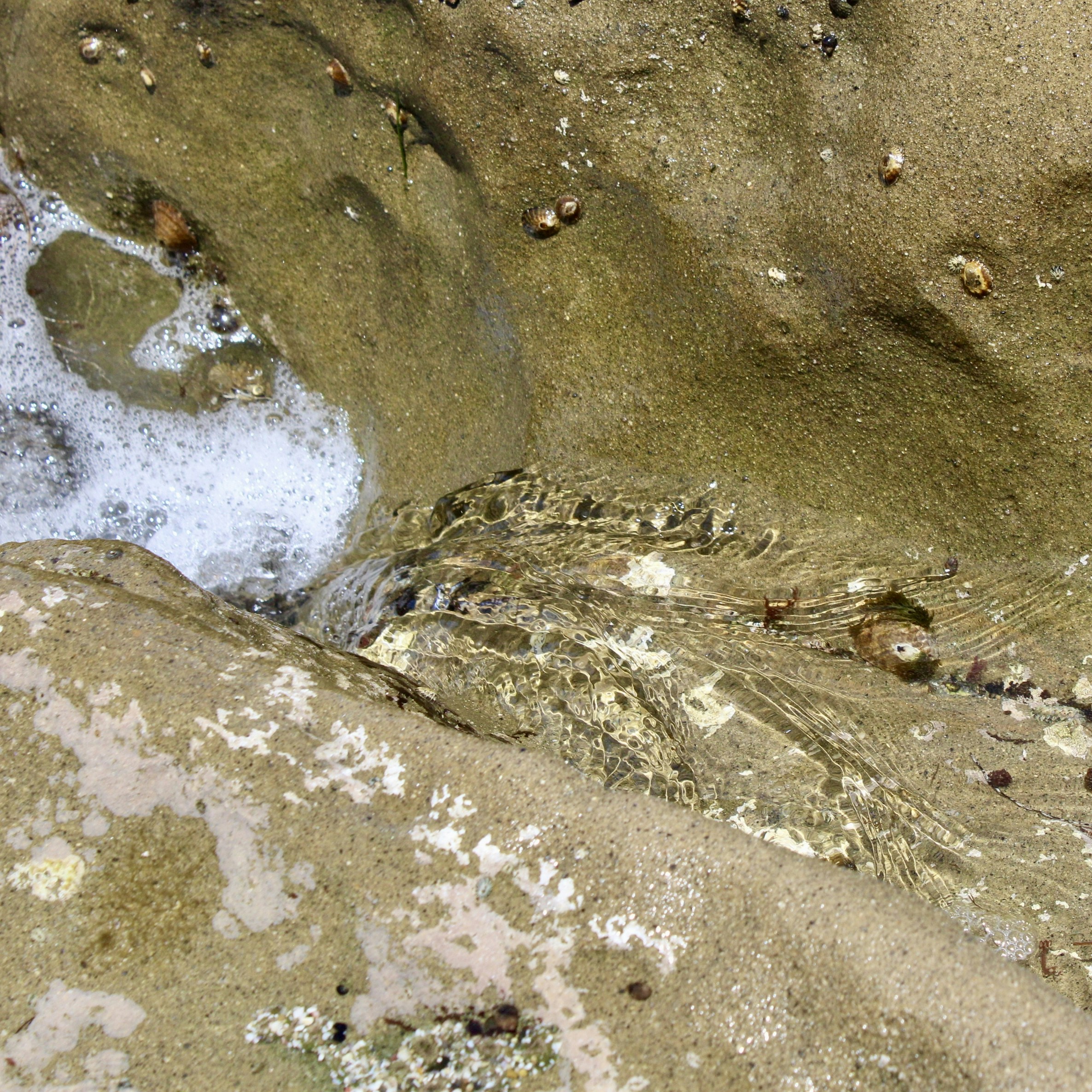 Rugged Tidepool Textures: Weathered limestone and frothy spray