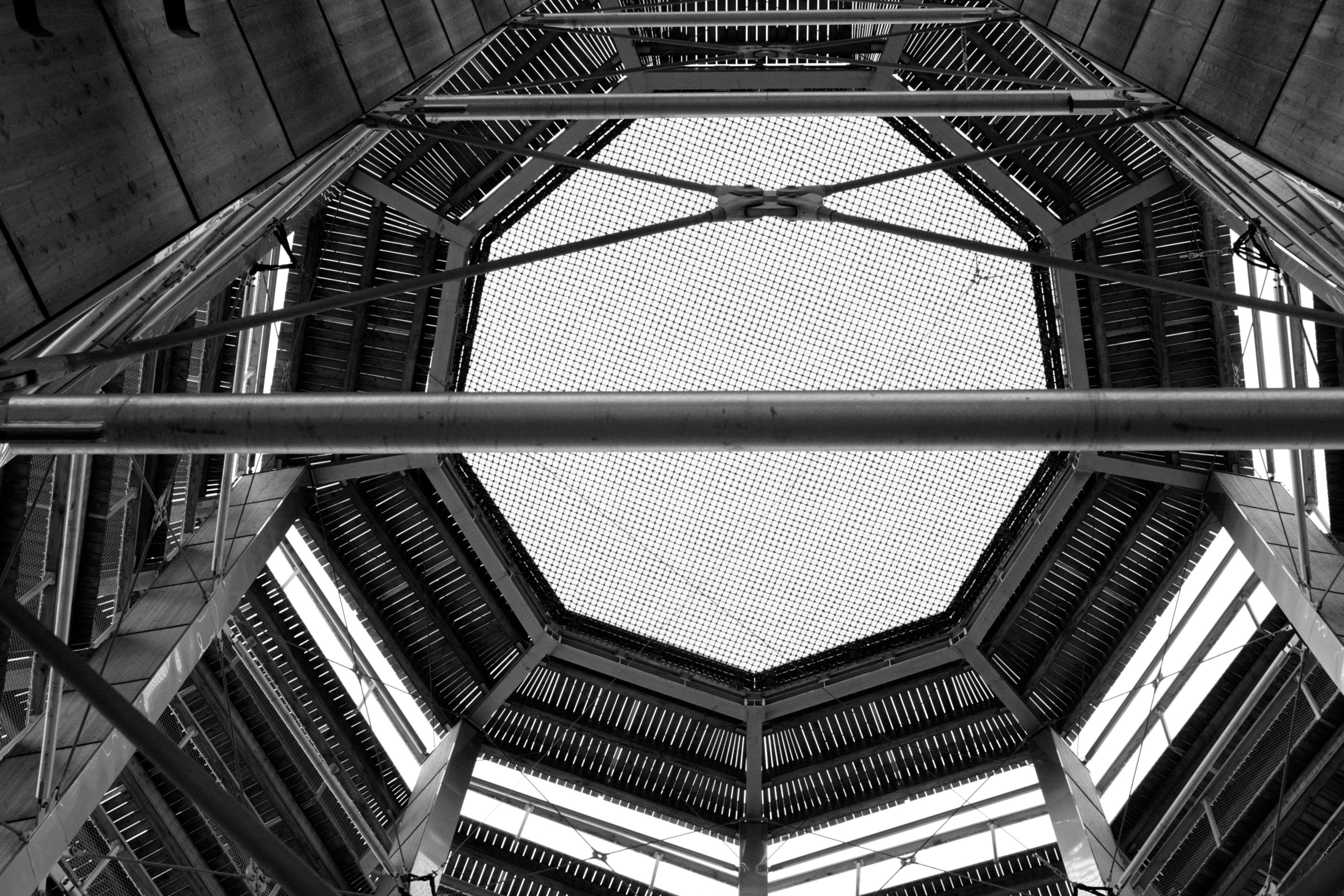 Symmetrical Atrium: A Black-and-White Convergence of Steel and Light