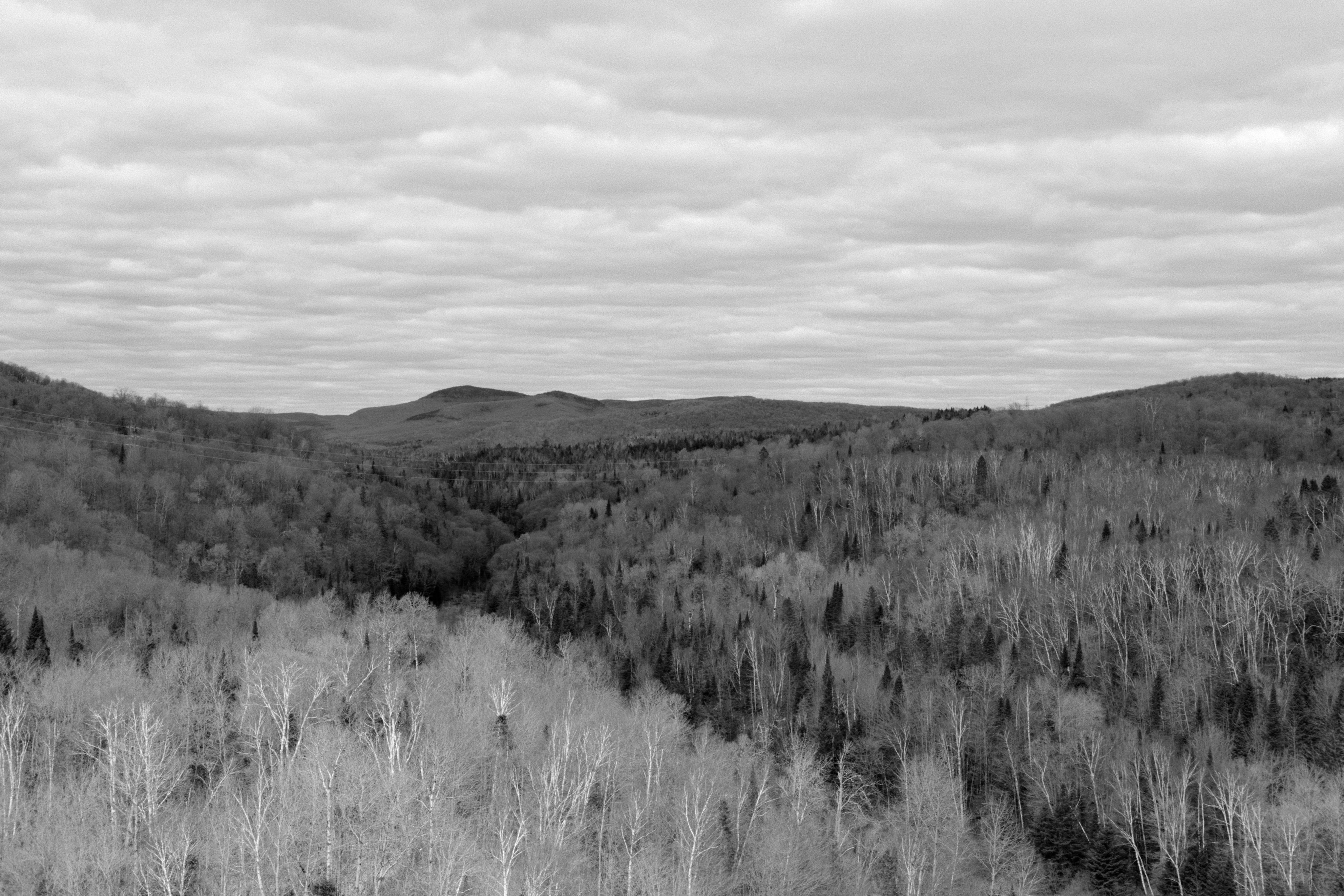 Echoes of the Valley: A Quiet Monochrome Horizon