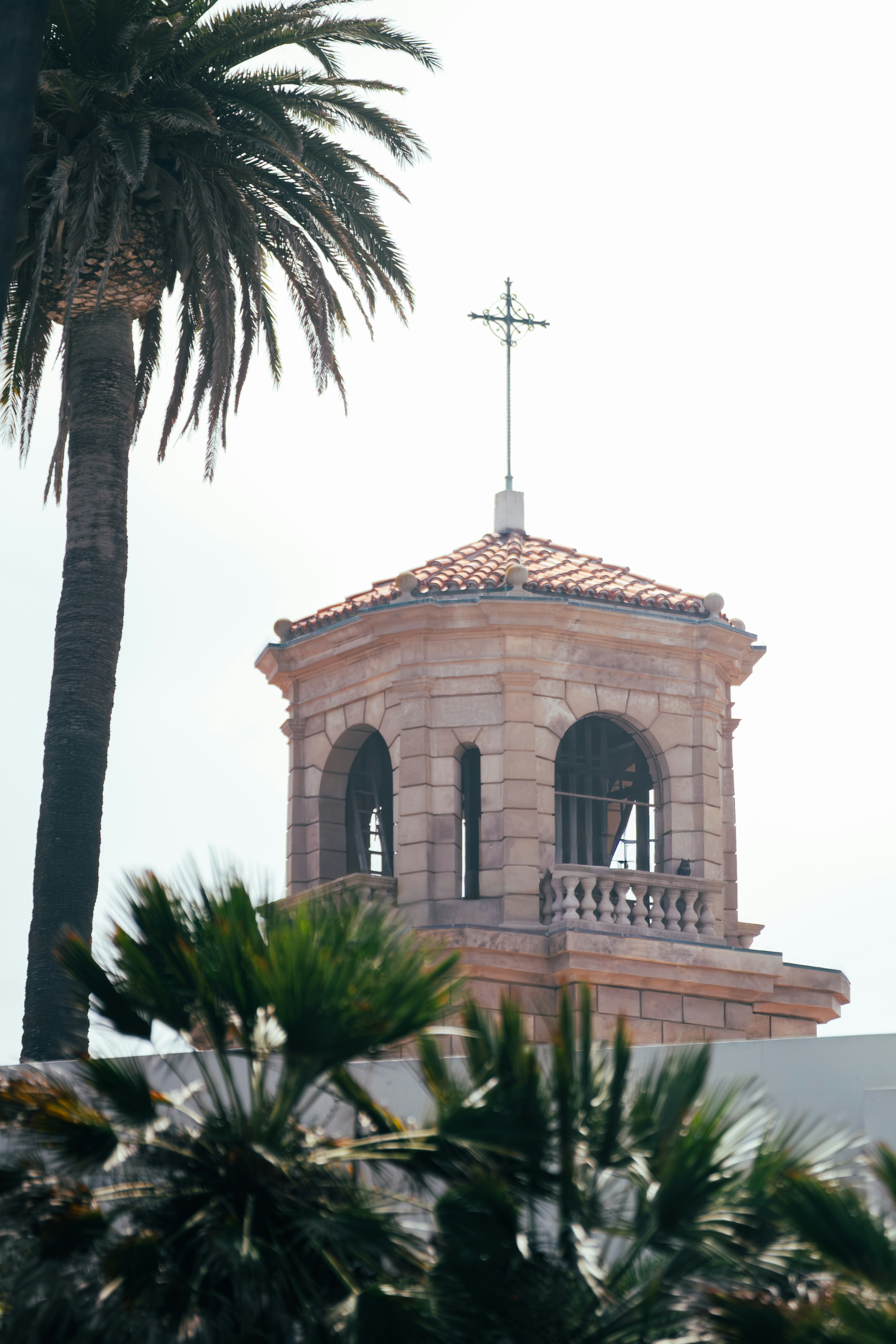 Bell Tower in Palm Shade