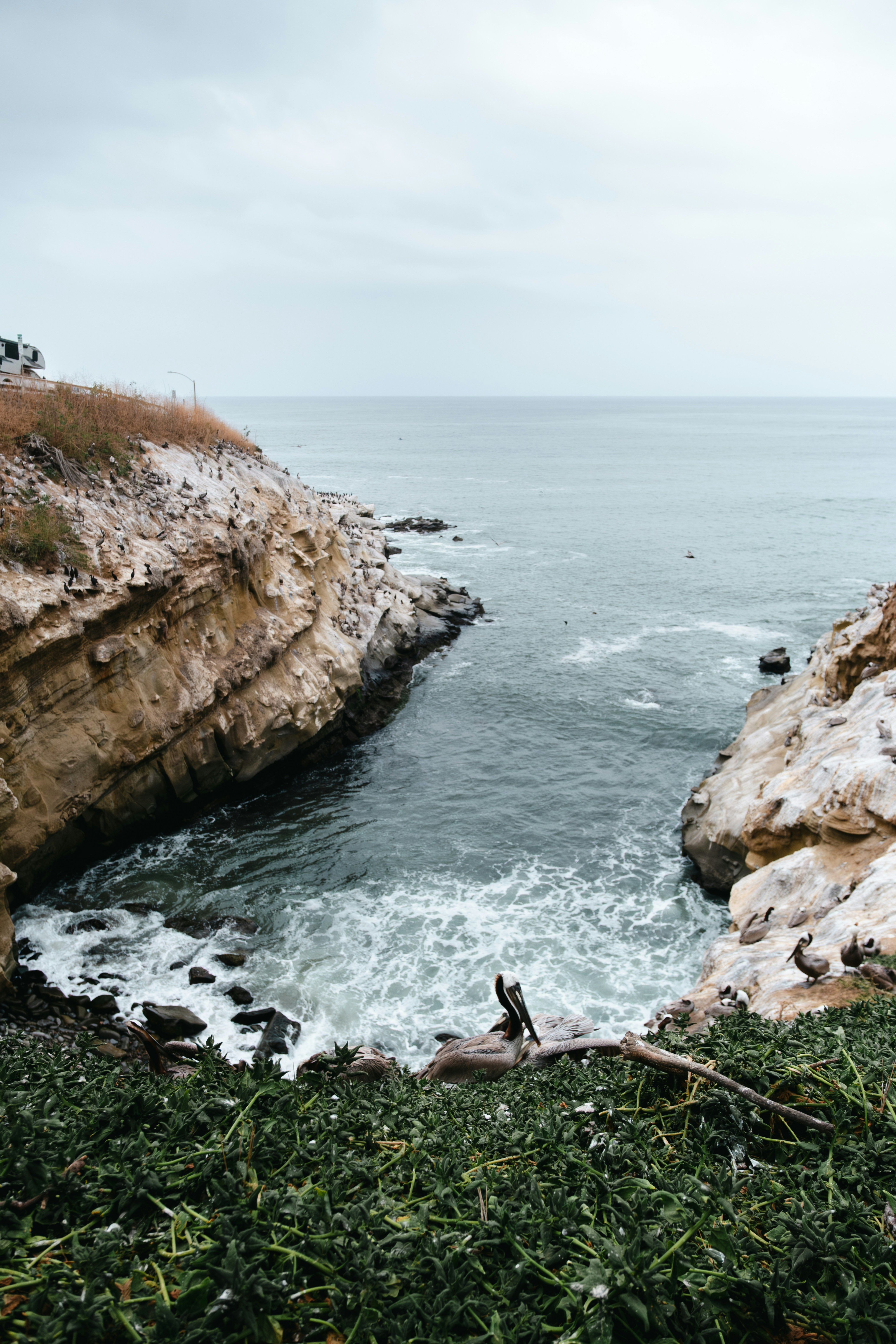 Cliffside Whisper: Sea Valleys Between Stones