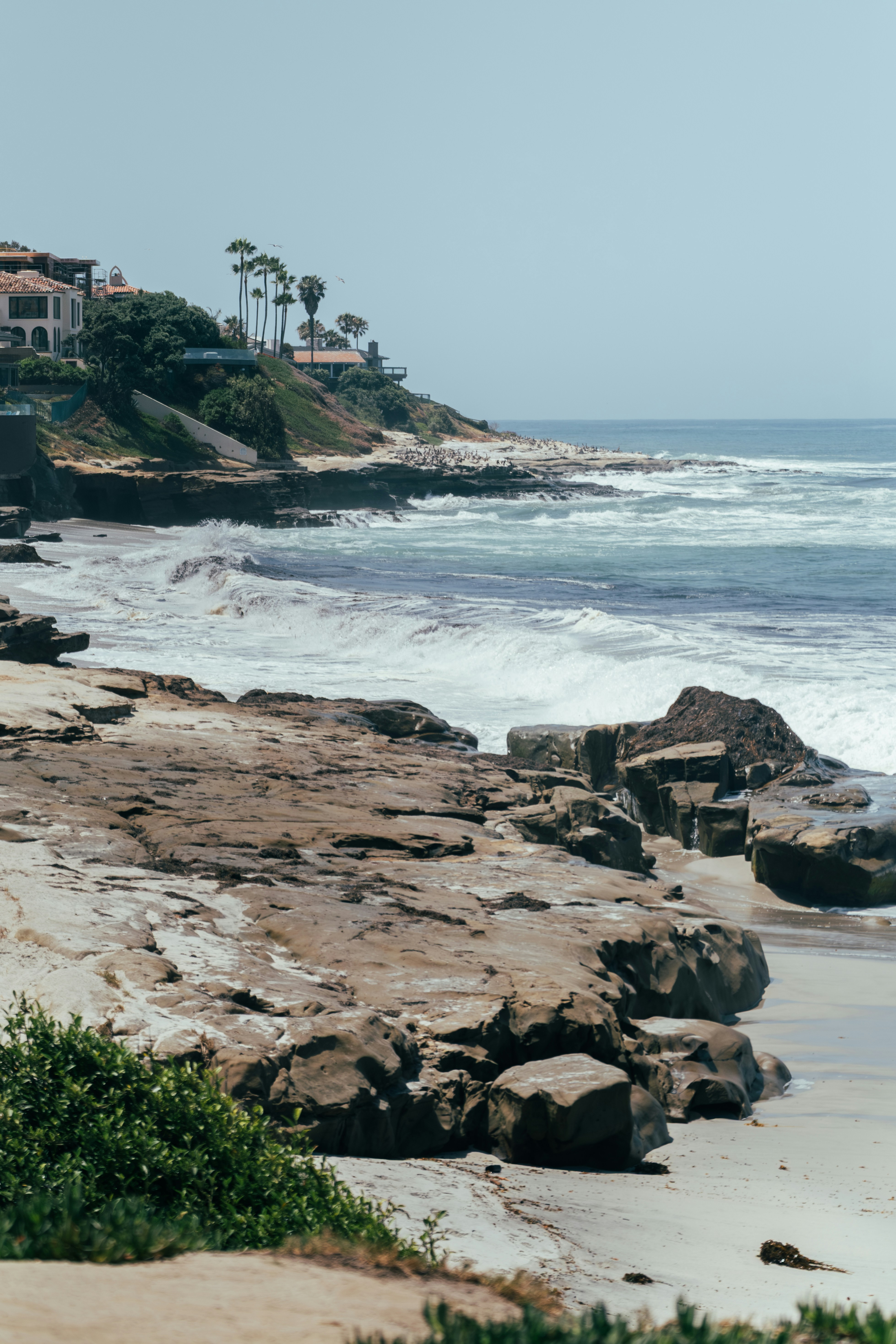 Coastal Cliffside Homes and Surfing Waves