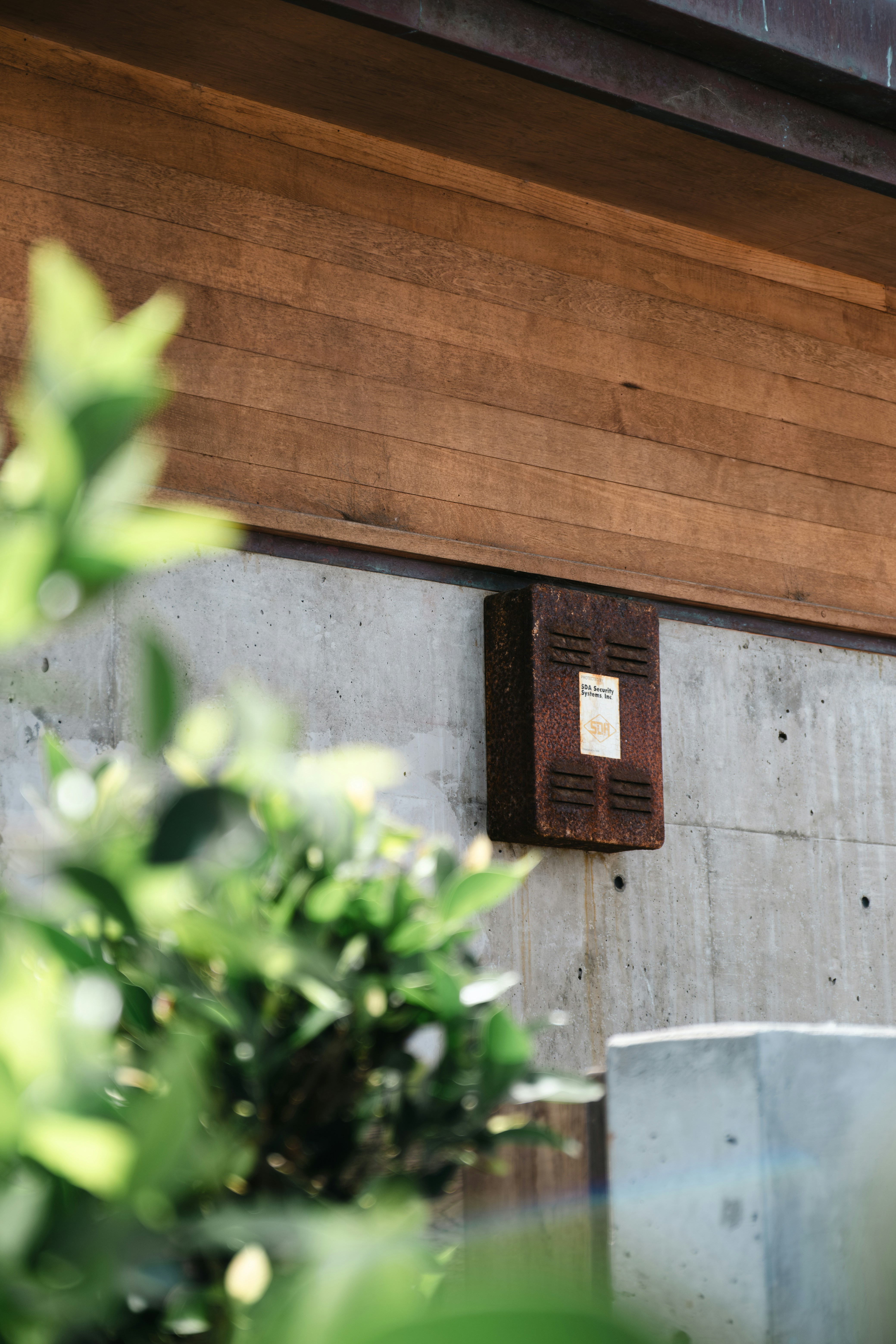 Rust and Concrete Echo: A Doorway to Silence