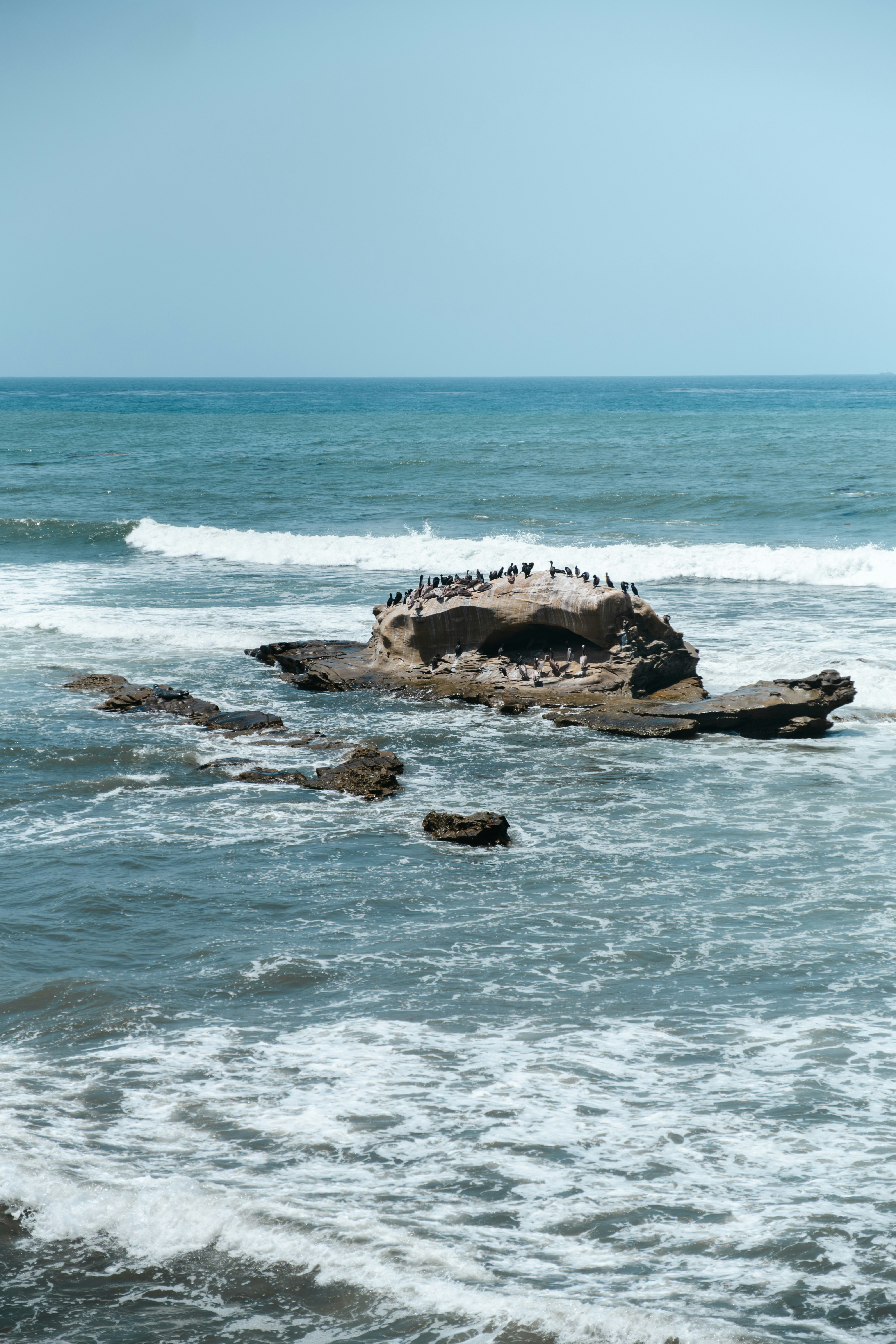 Sea-bound Sentinel: A flock of birds resting on a weathered rock in a calm coastal scene