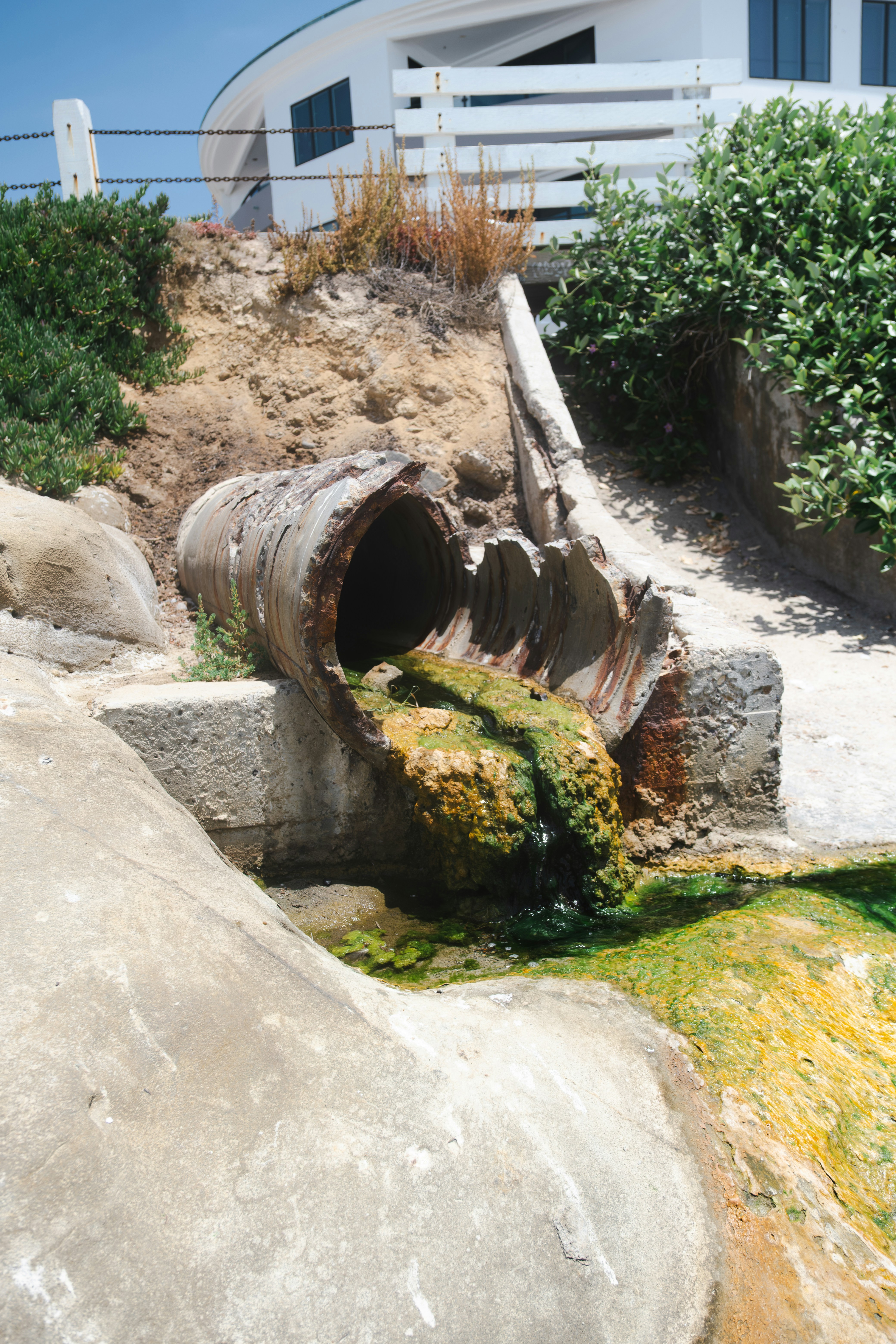 Rust and Tide: A Coastal Pipe Carving Surrounded by Greenery