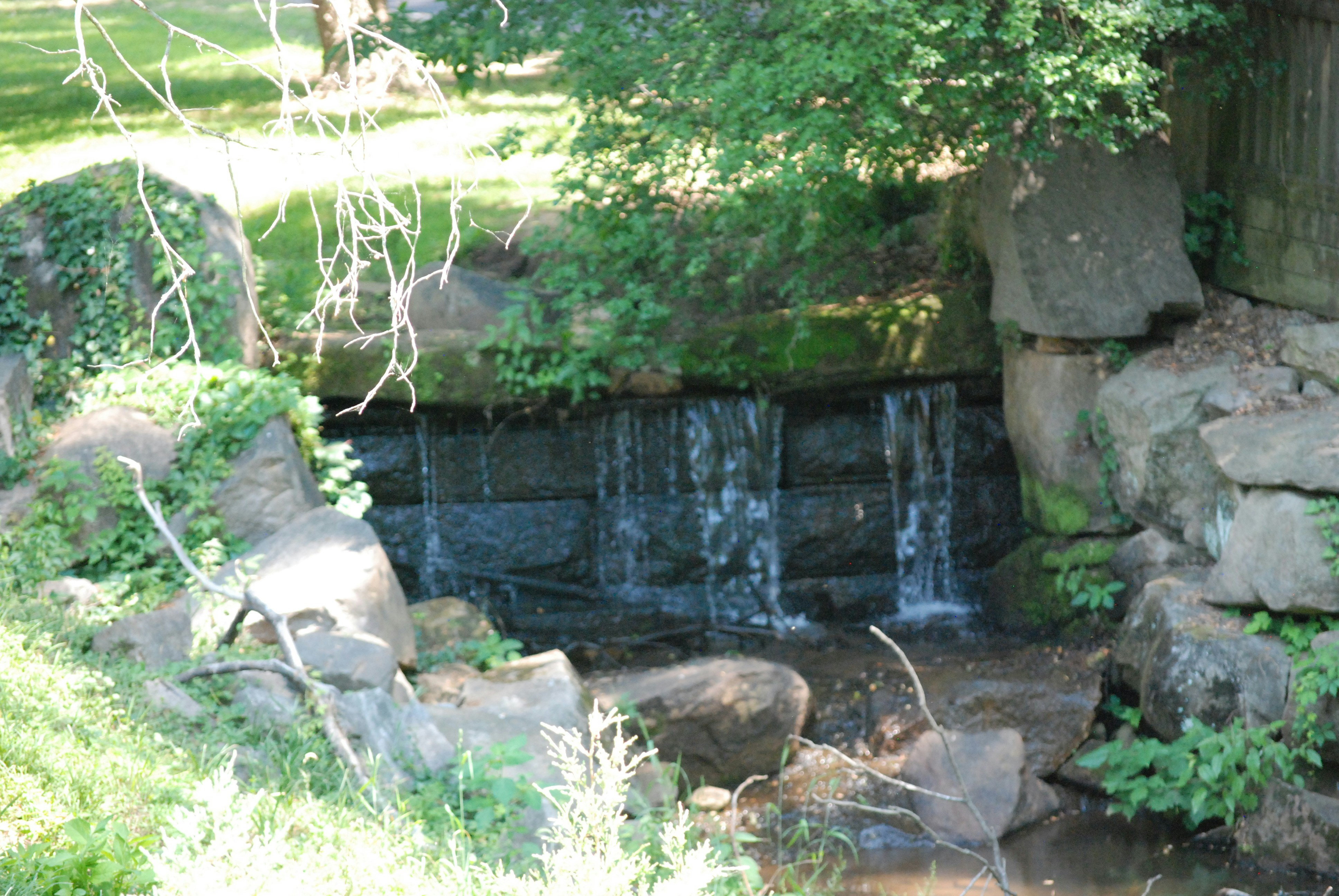 Quiet Garden Cascade Behind Stone Draped Fence