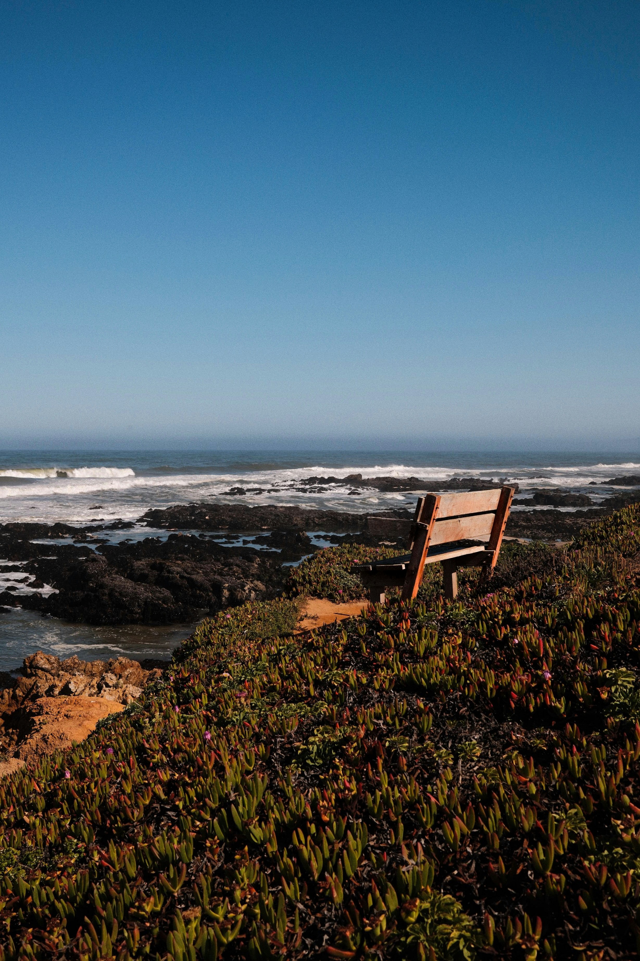 Bench by the Sea: A Quiet Vista Along the Tidal Edge