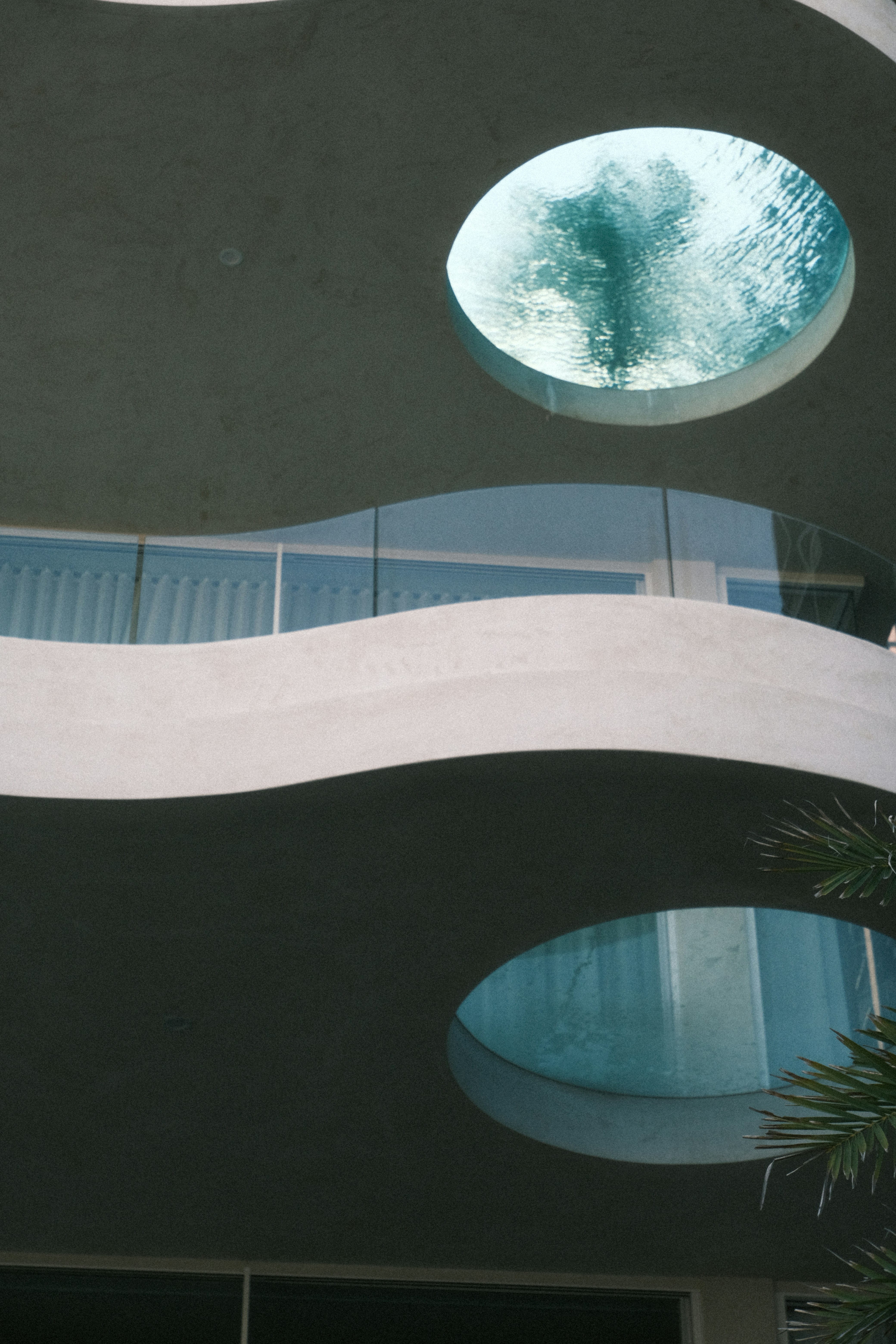 Organic Concrete Curves: A Modern Facade with Circular Windows