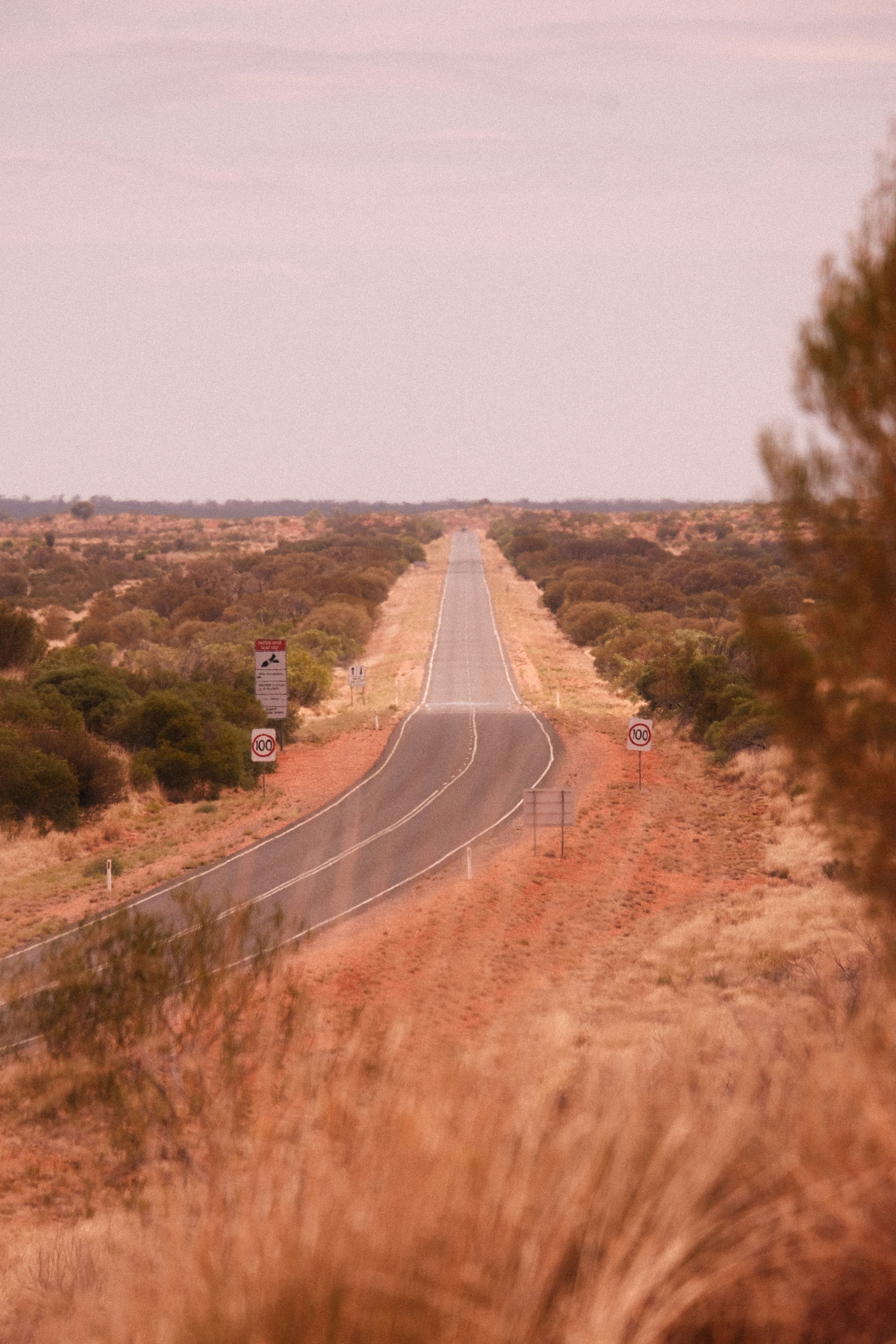 Endless Highway Through Desolate Plains