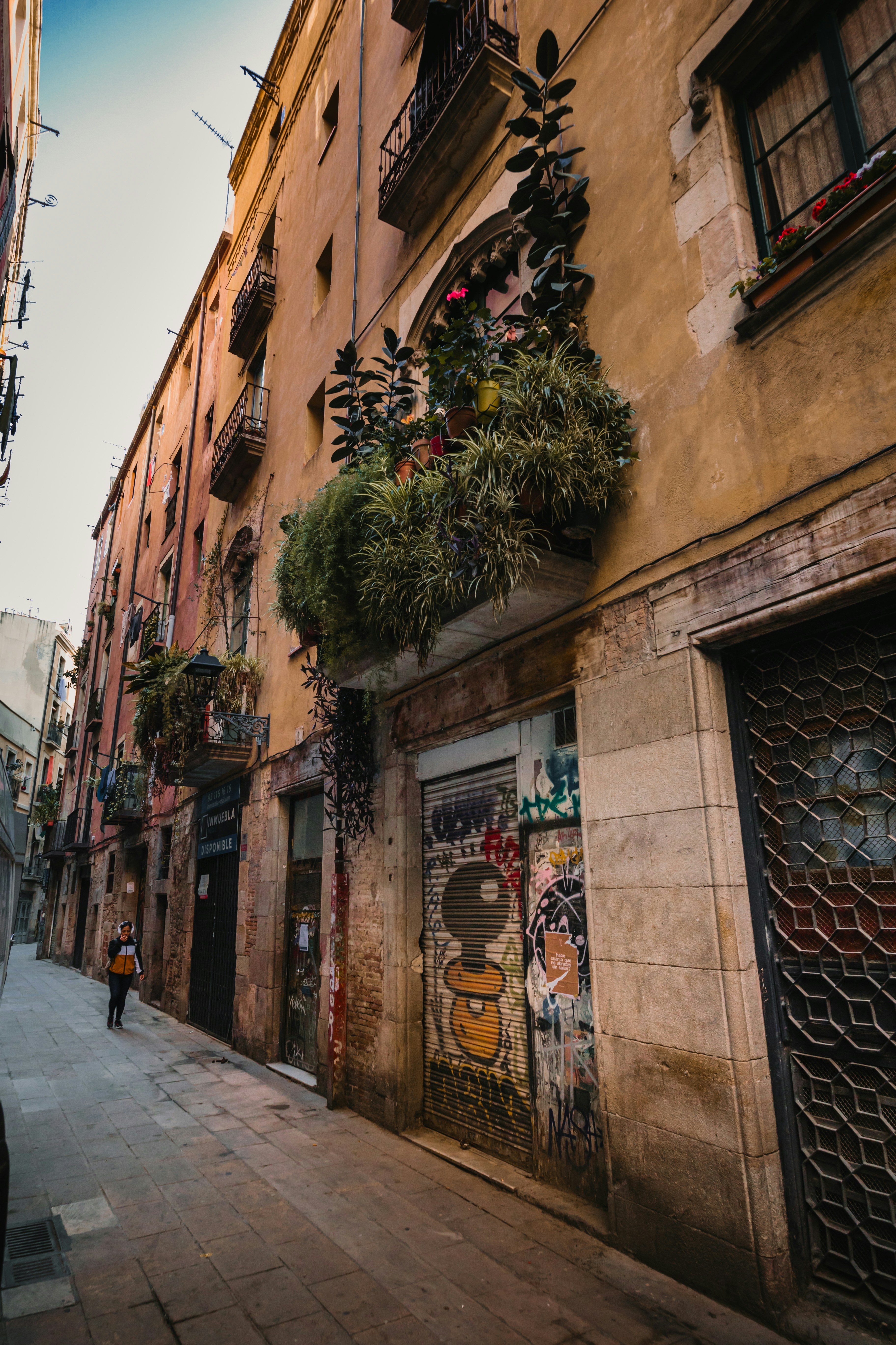Balcony Garden in a Narrow Catalan Street