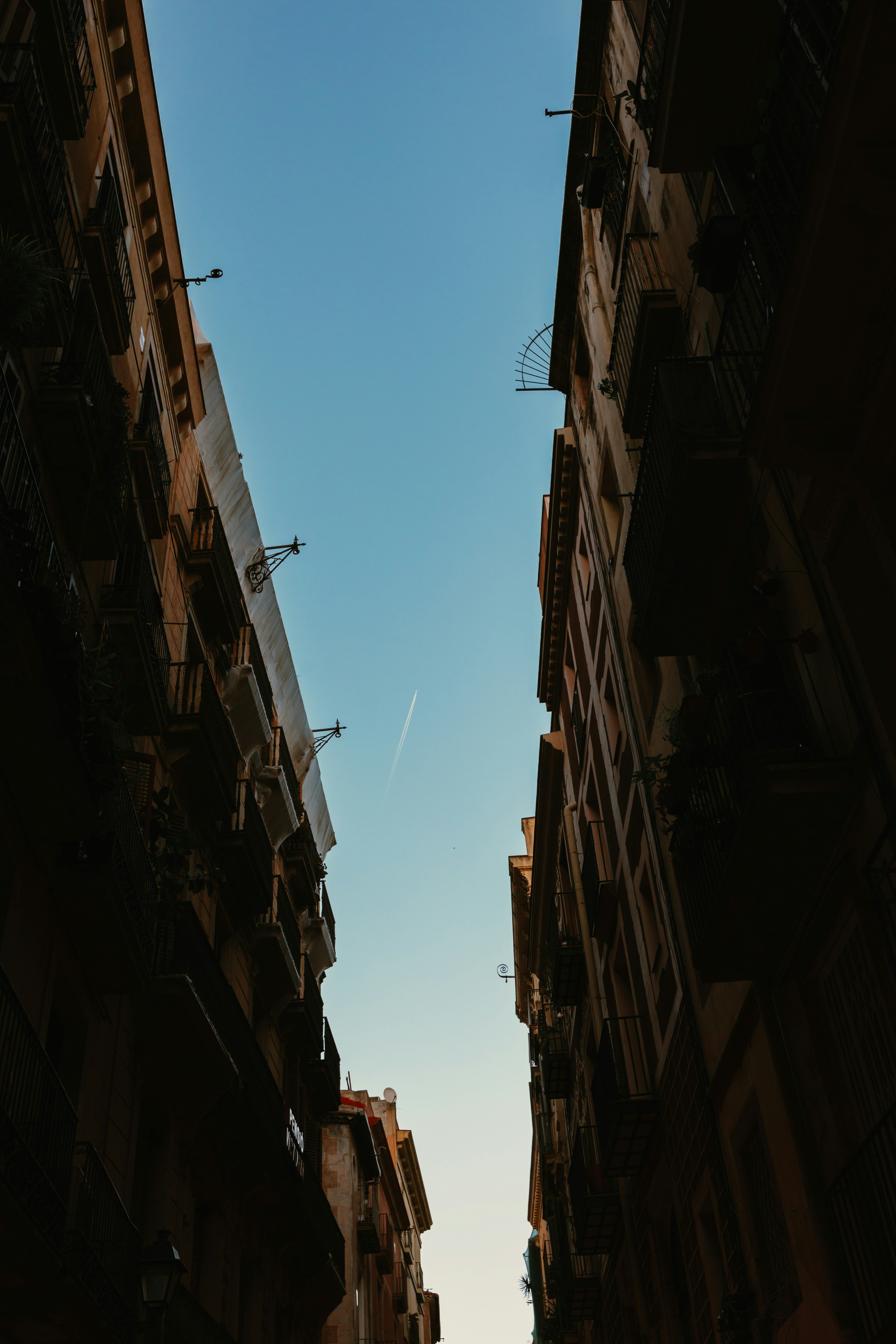 Urban Sky Between Tall Susurrations