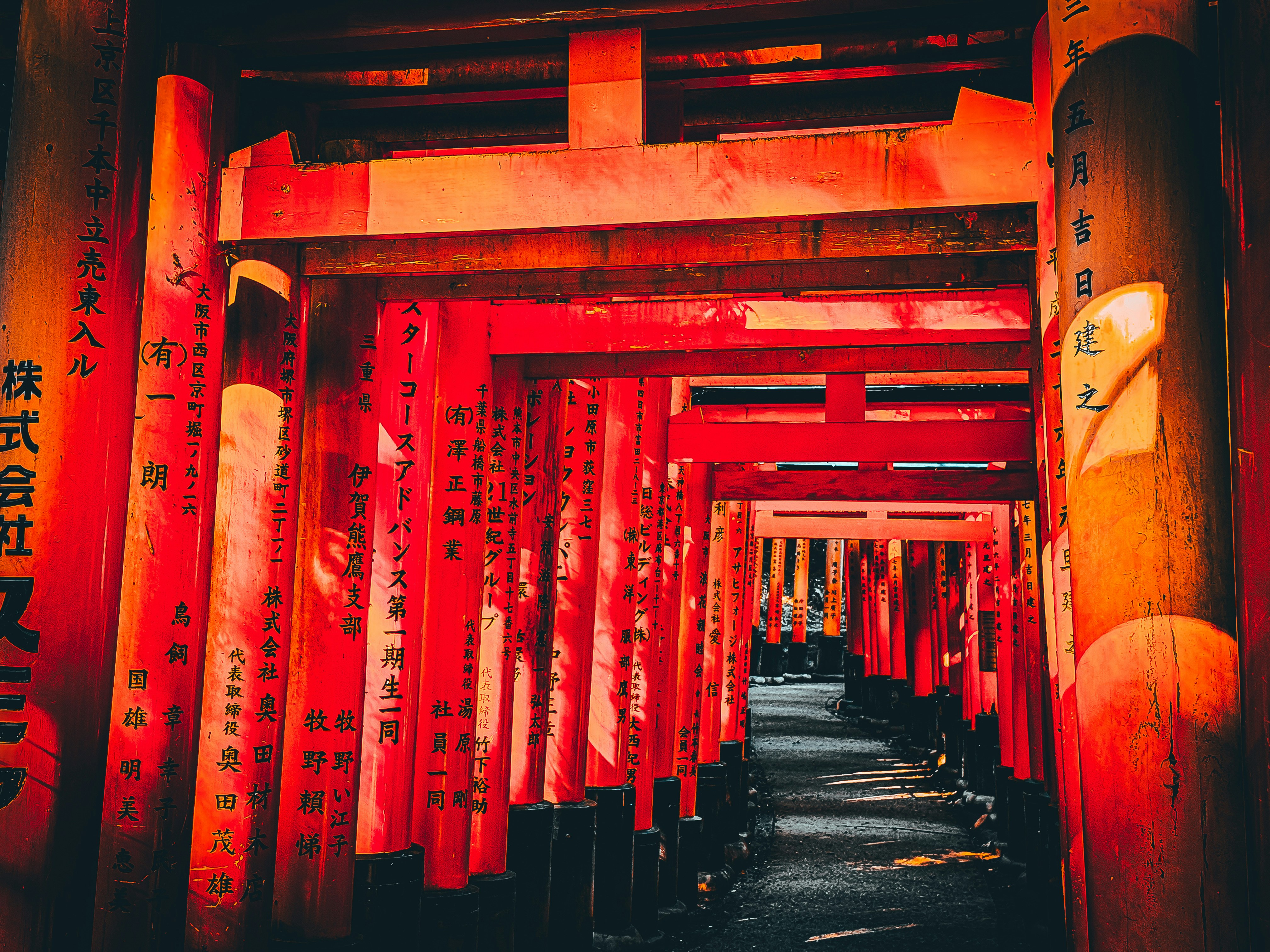 Red Gate Corridor: A Bathed Path of Torii at Dusk
