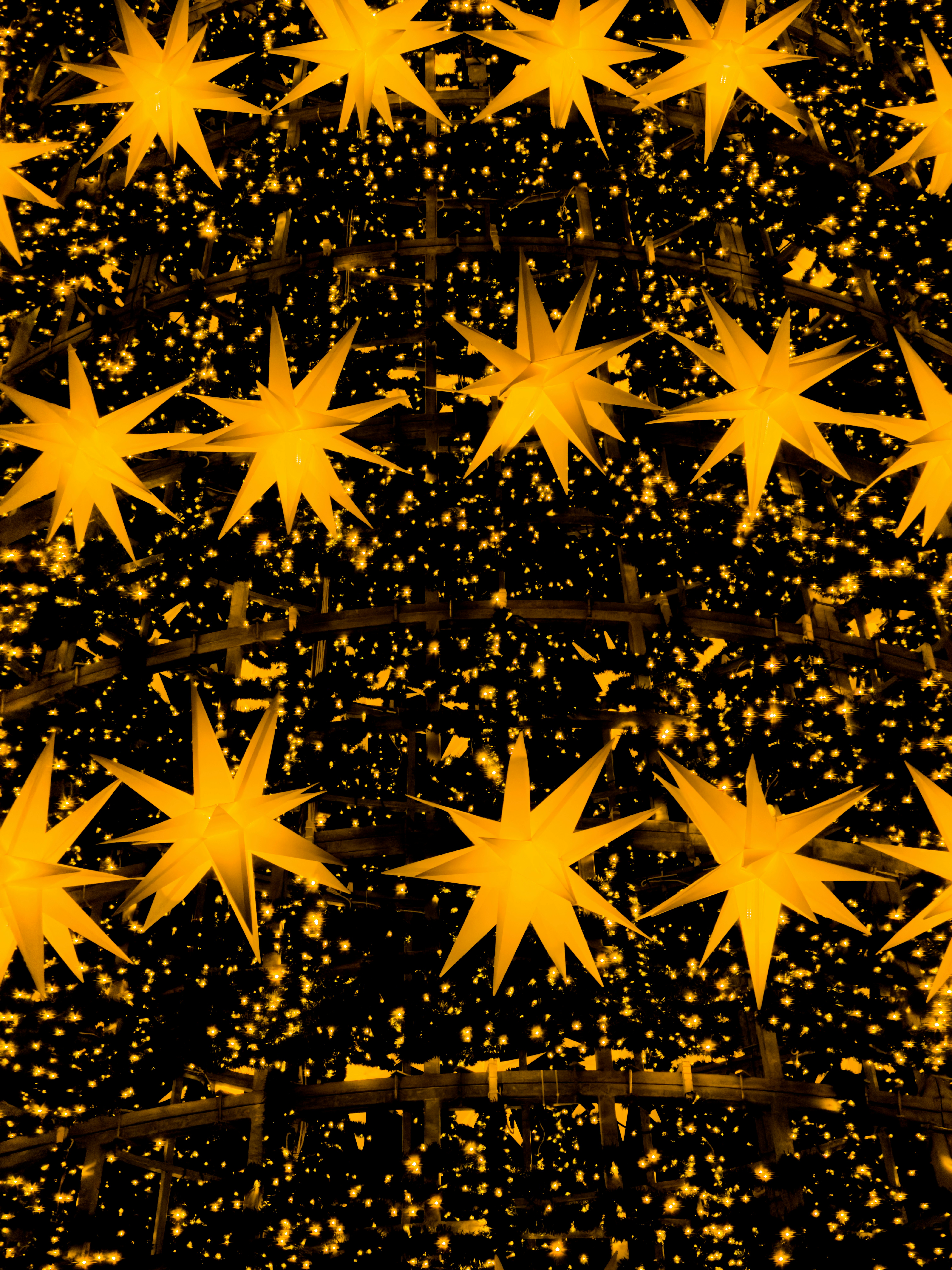 Golden Stars in a Night-Mrapped Archway