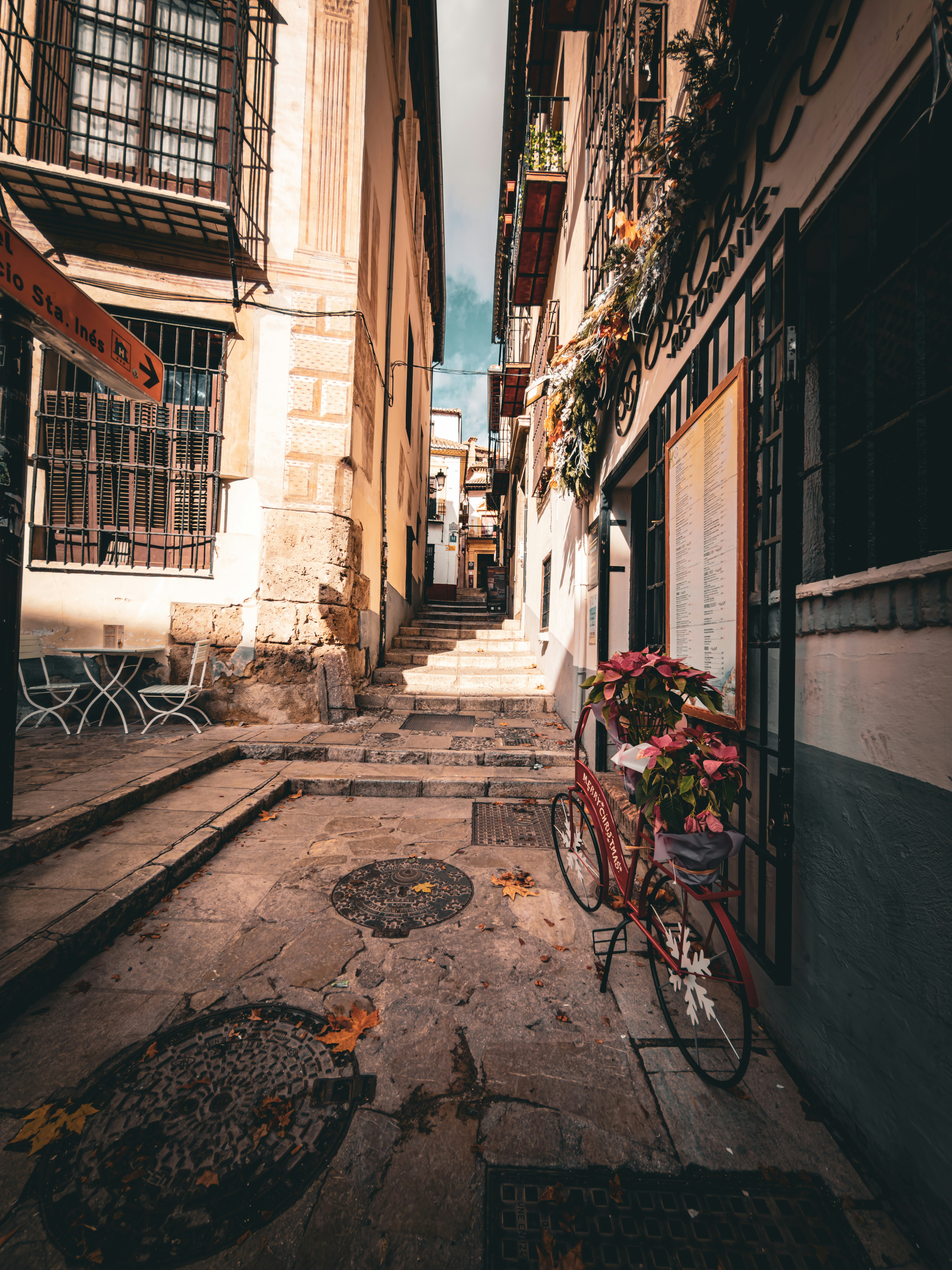 Sunlit Alleyway with a Pink Bicycle Bloom
