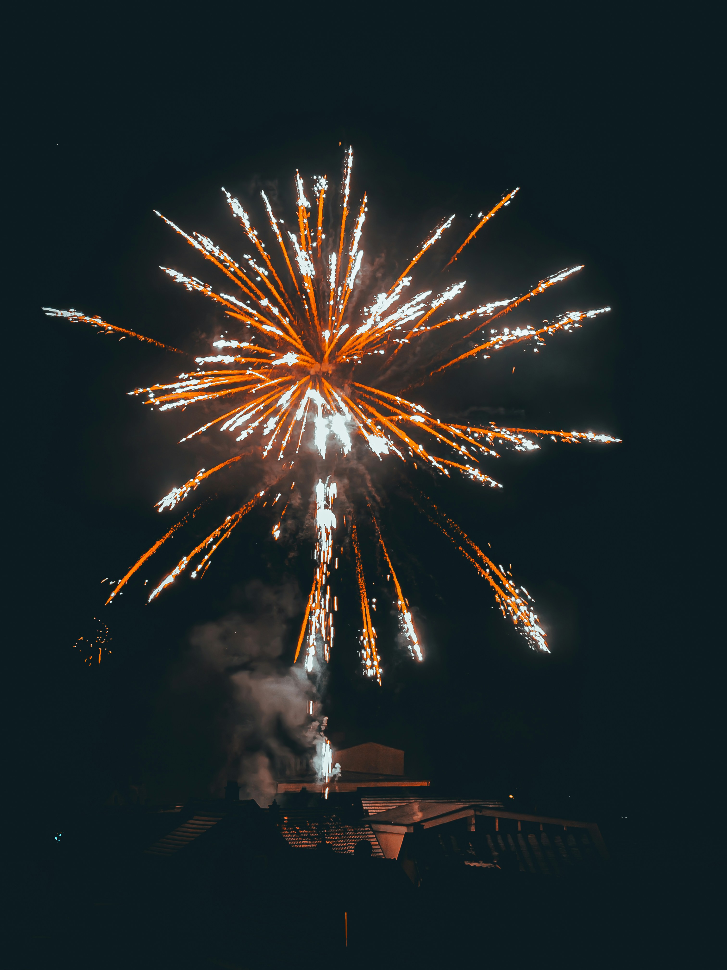 Midnight Burst: A Firework Bloom Over Quiet Rooftops