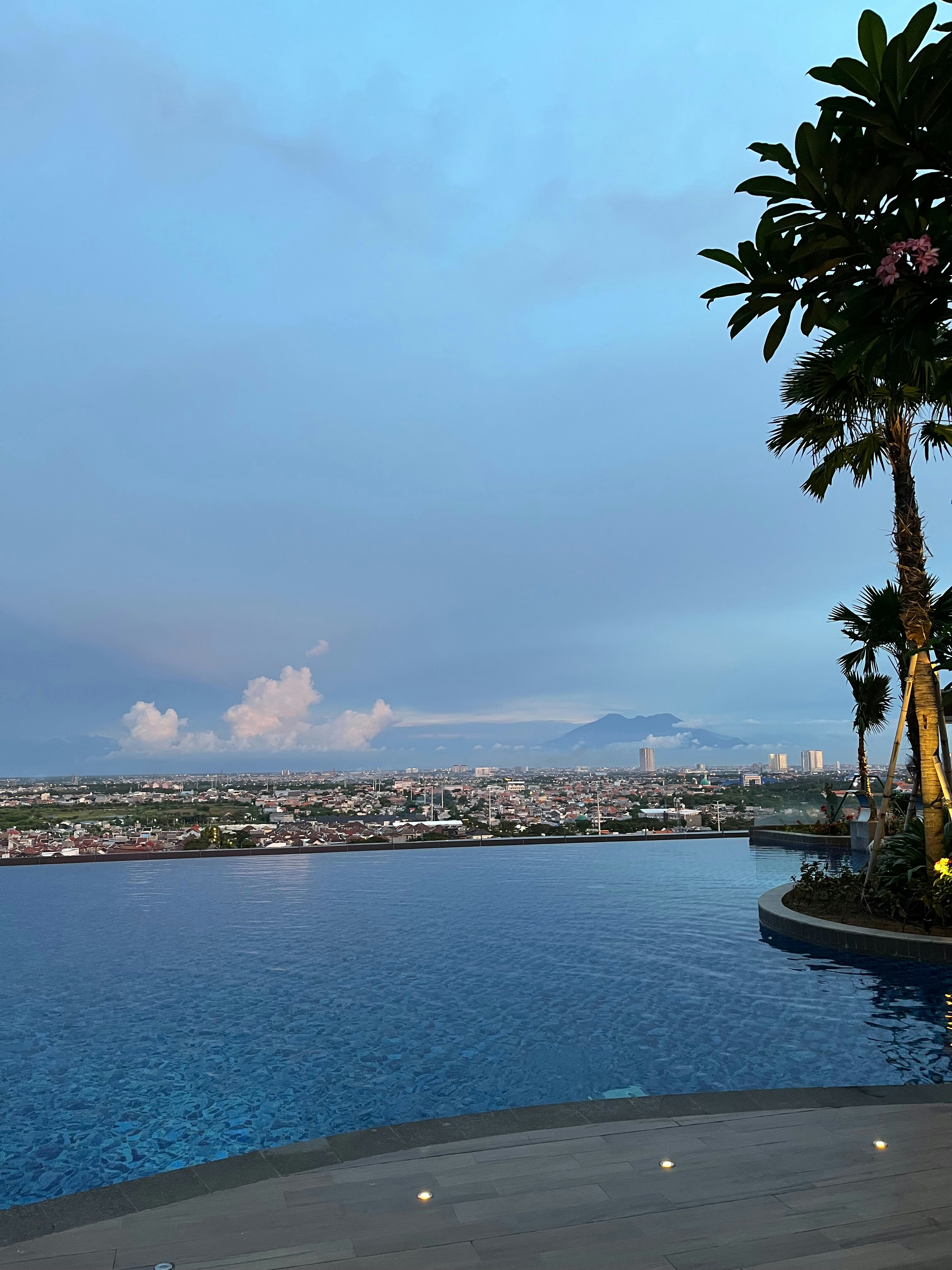 Infinity Edge: Palm silhouettes over a city silhouette