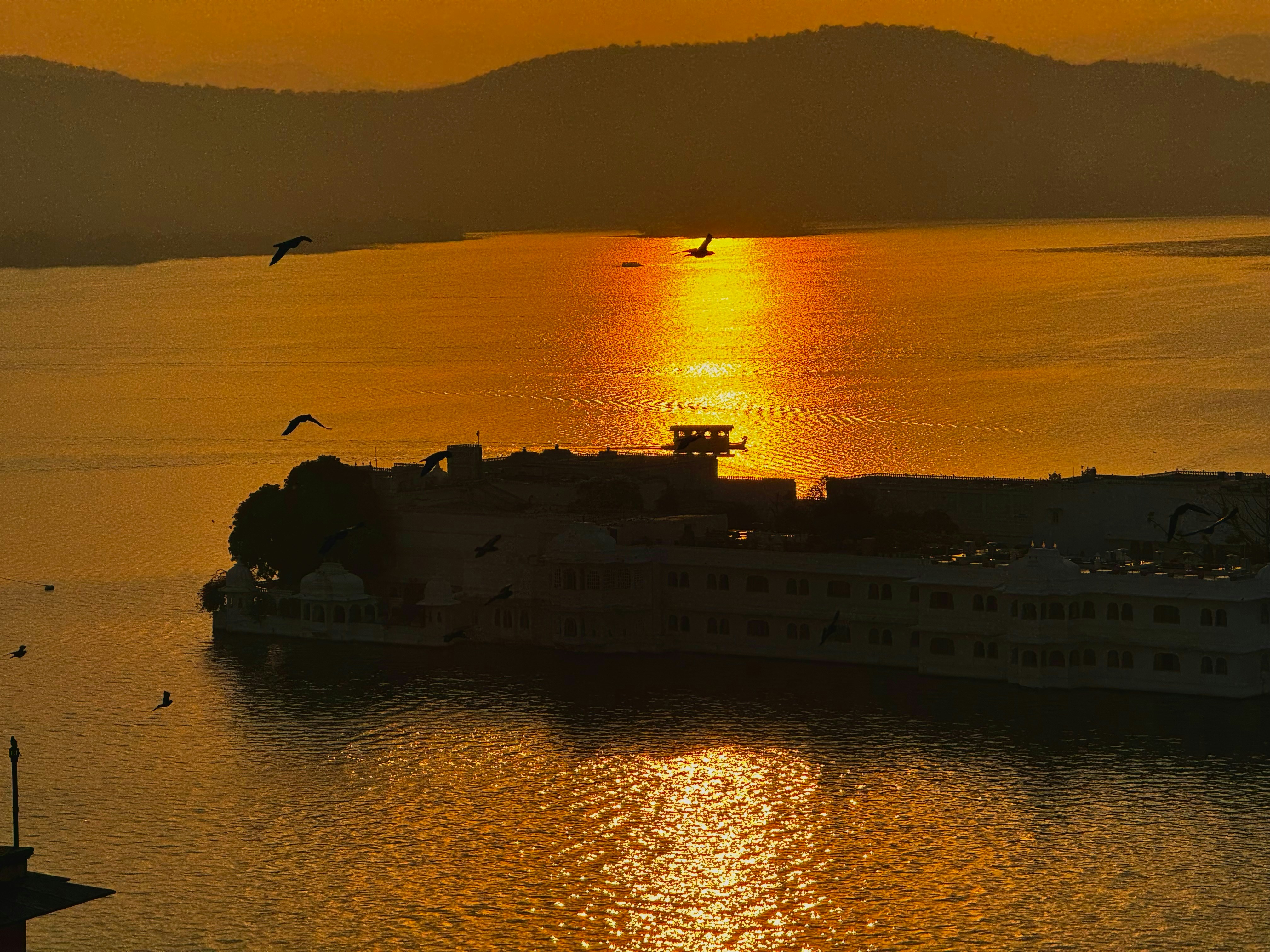 Golden Horizon: Sunset Over the Silhouette Harbor